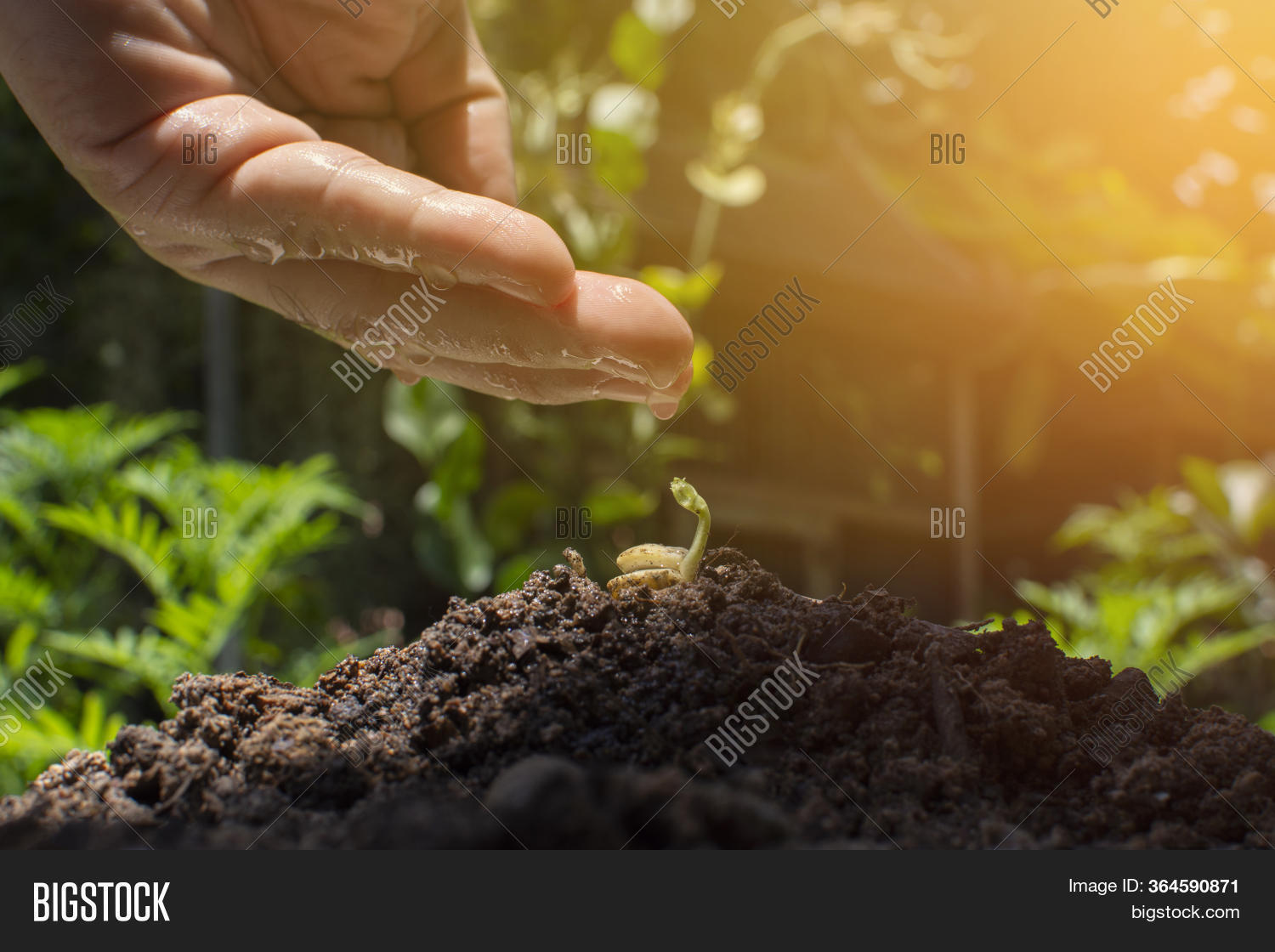 Human Hand Water Drop Image & Photo (Free Trial) | Bigstock