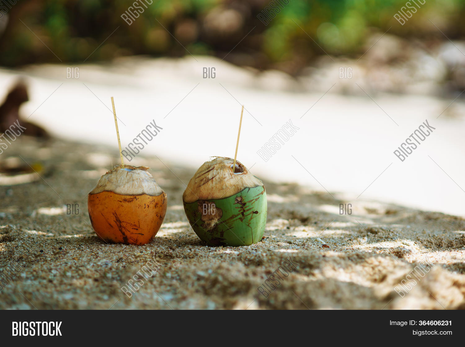 Two Coconuts Tubes On Image & Photo (Free Trial) | Bigstock