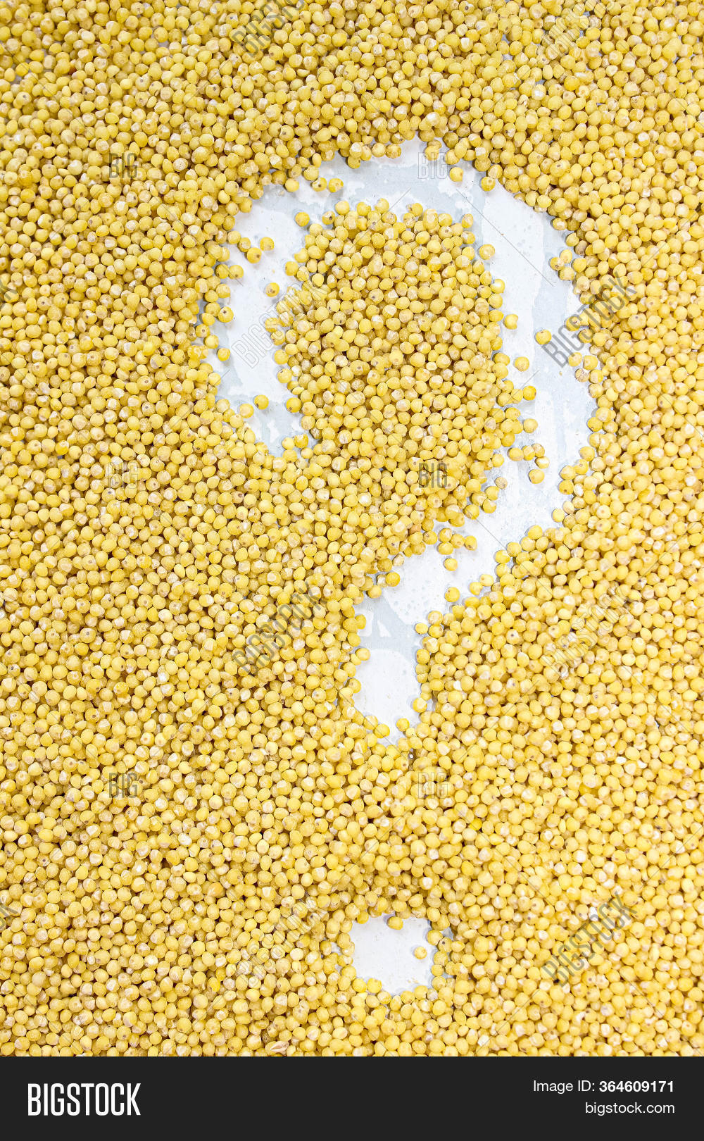 Millet Background Image & Photo (Free Trial) | Bigstock