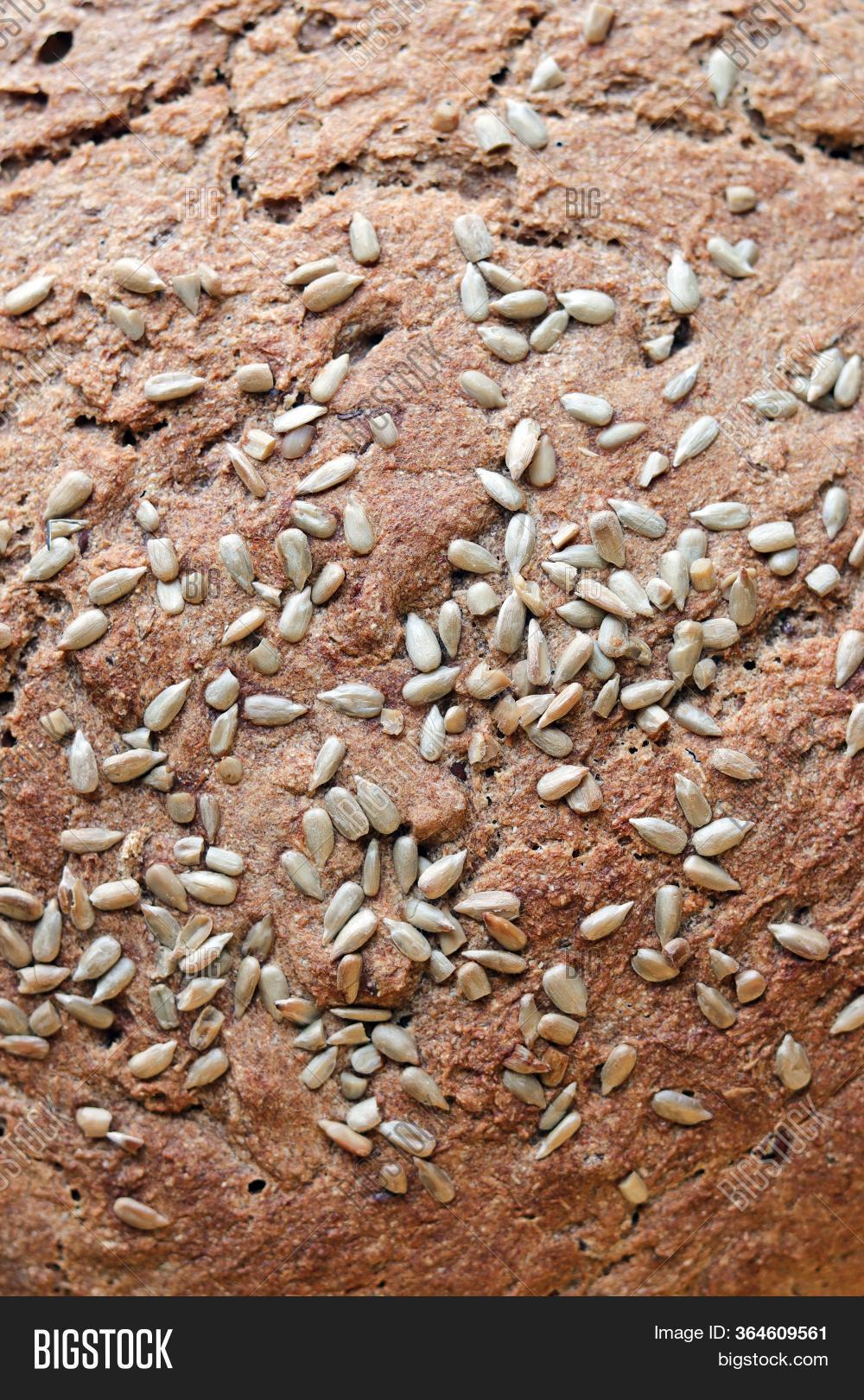 Crust Texture Freshly Image & Photo (Free Trial) | Bigstock