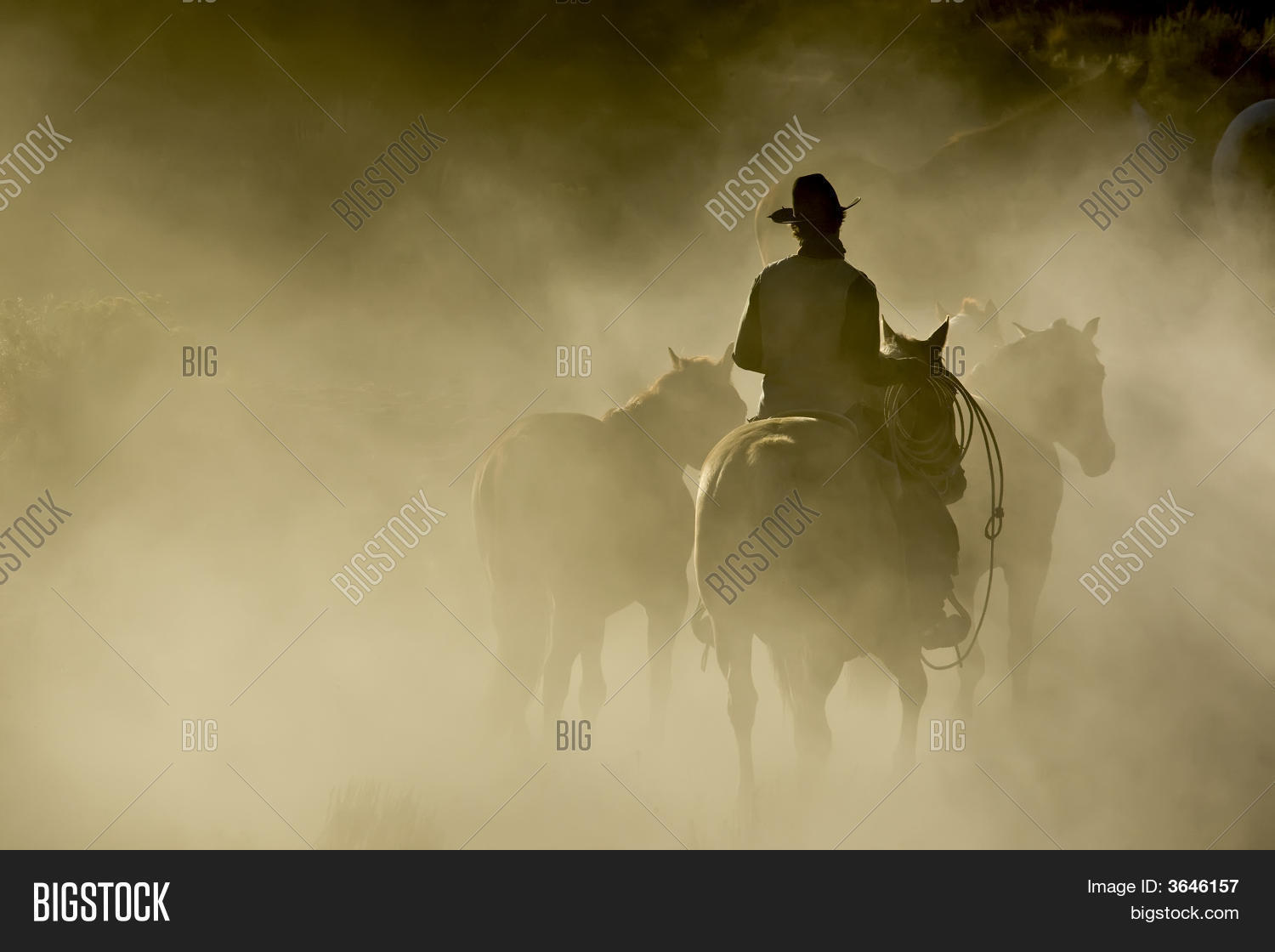 Cowboy Dust Image & Photo (Free Trial) | Bigstock