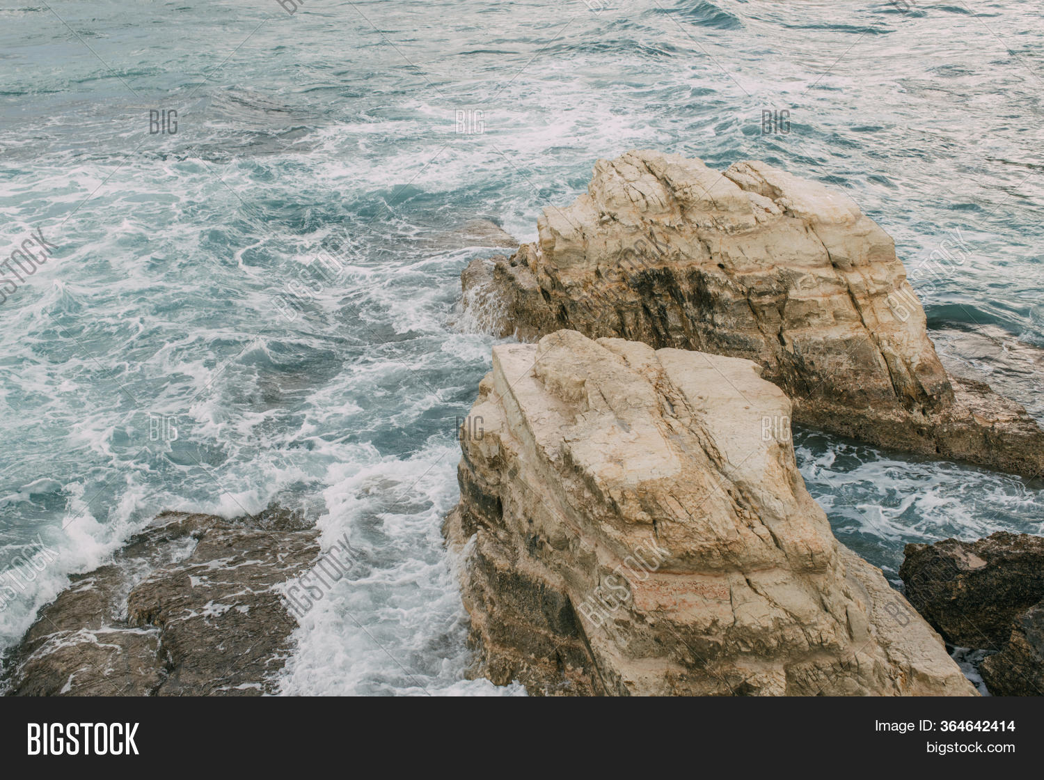 White Foam Near Wet Image & Photo (Free Trial) | Bigstock