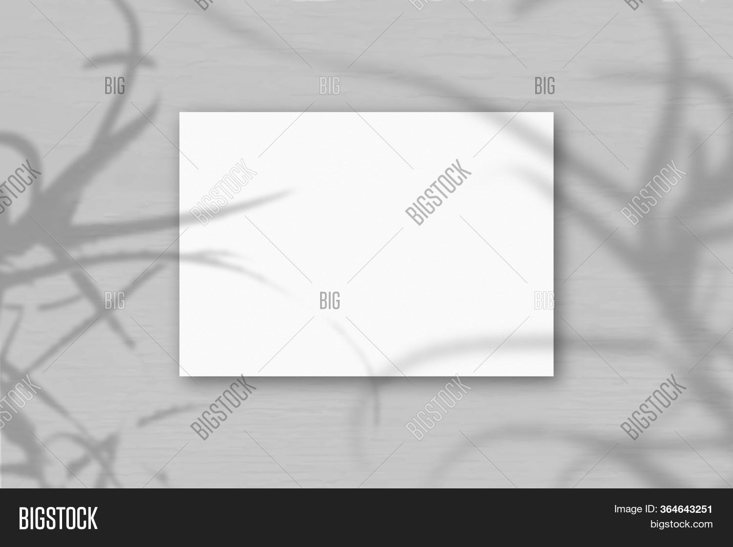 Horizontal A4 Sheet Image & Photo (Free Trial) | Bigstock