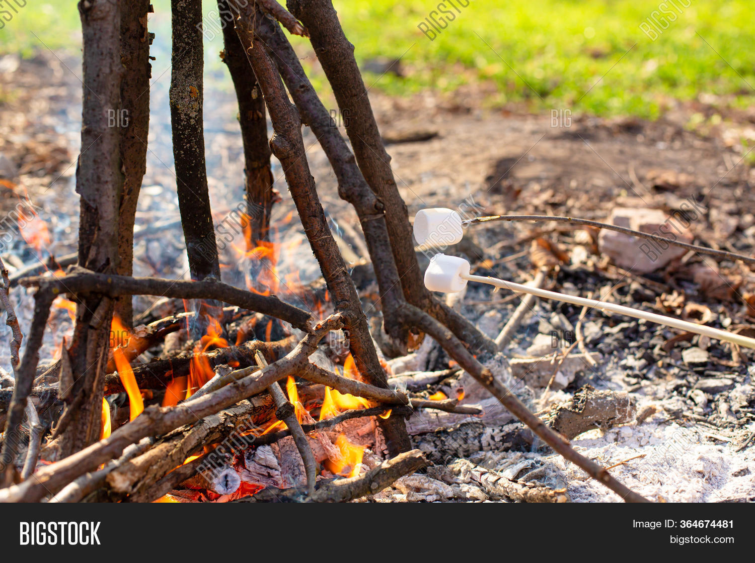 Camping Bonfire, Image & Photo (Free Trial) | Bigstock