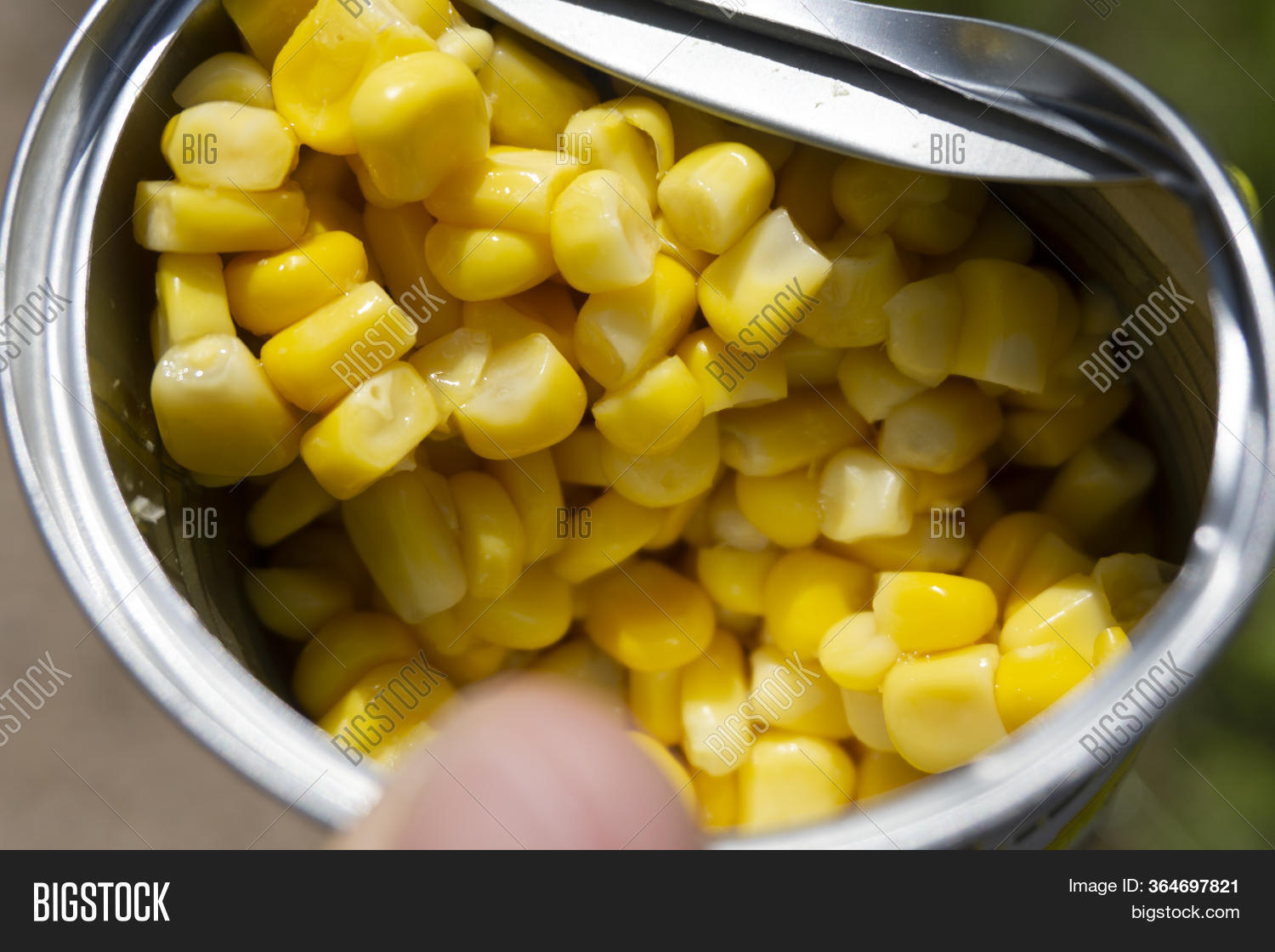 Sweet Corn Glass Jar Image & Photo (Free Trial) | Bigstock