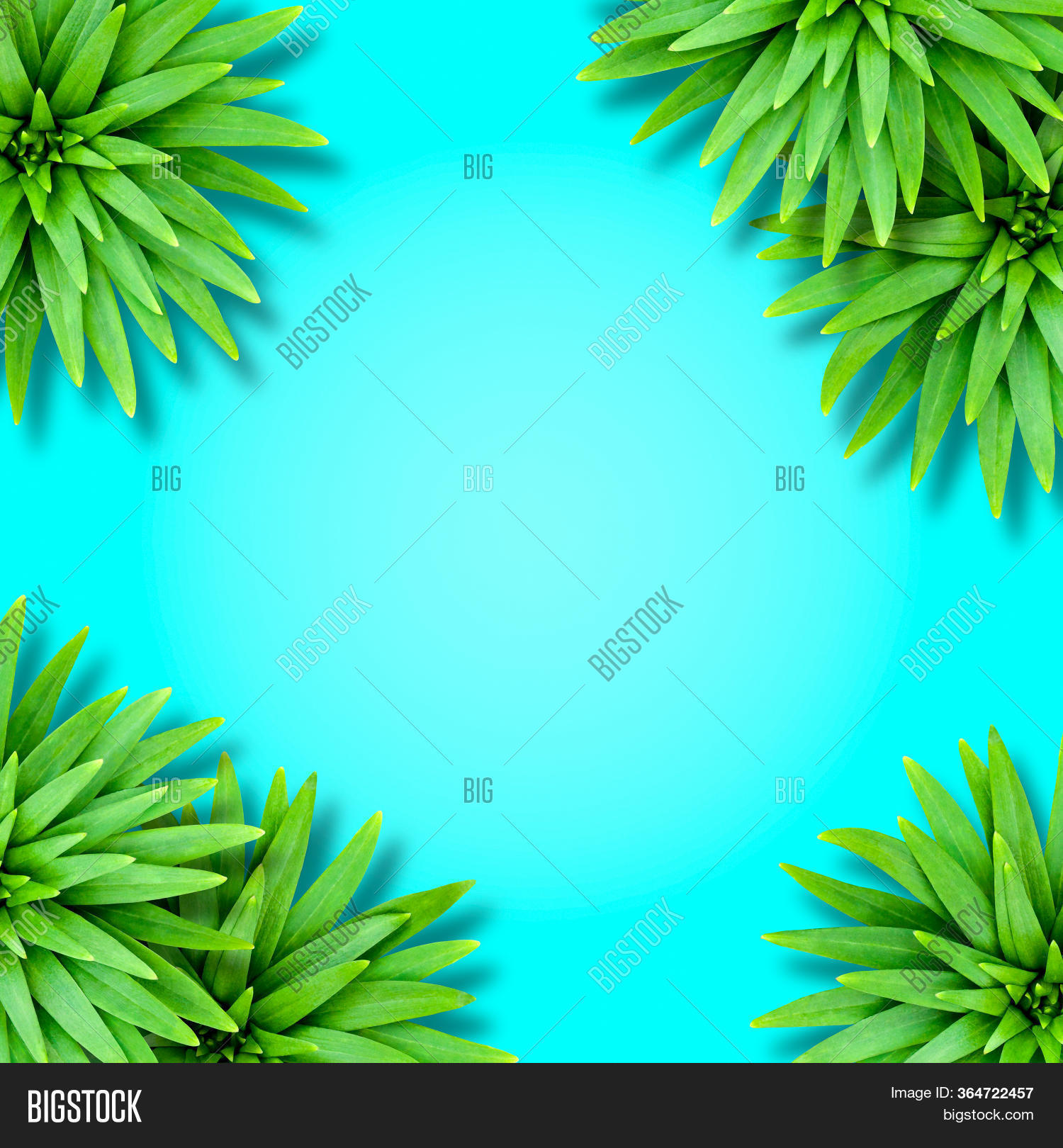 Natural Tropical Image & Photo (Free Trial) | Bigstock
