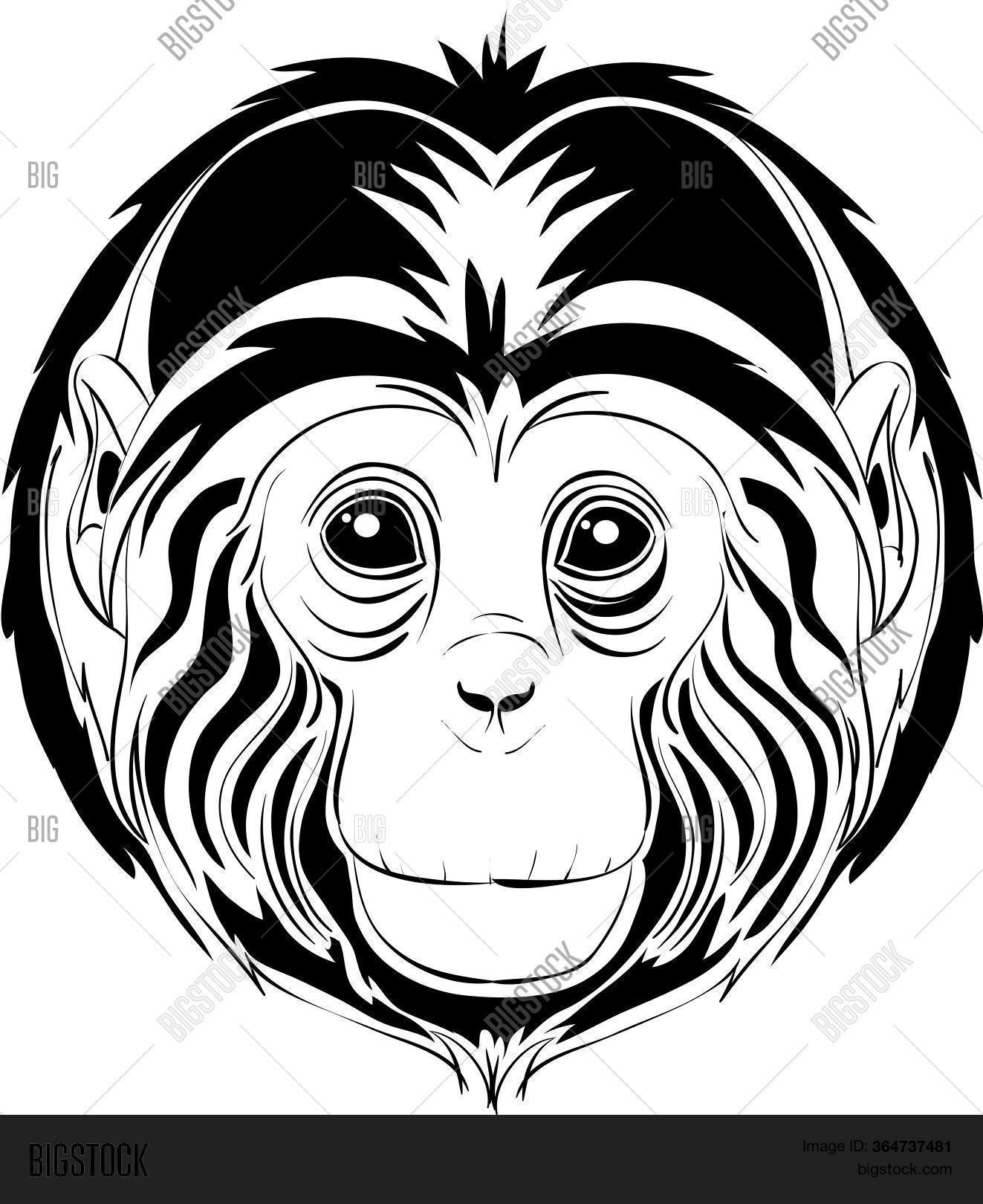 Stylized Monkey Head Vector & Photo (Free Trial) | Bigstock