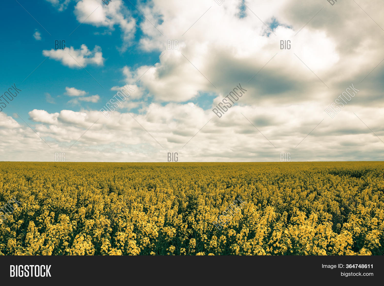 Cloudy Sky Over Yellow Image & Photo (Free Trial) | Bigstock
