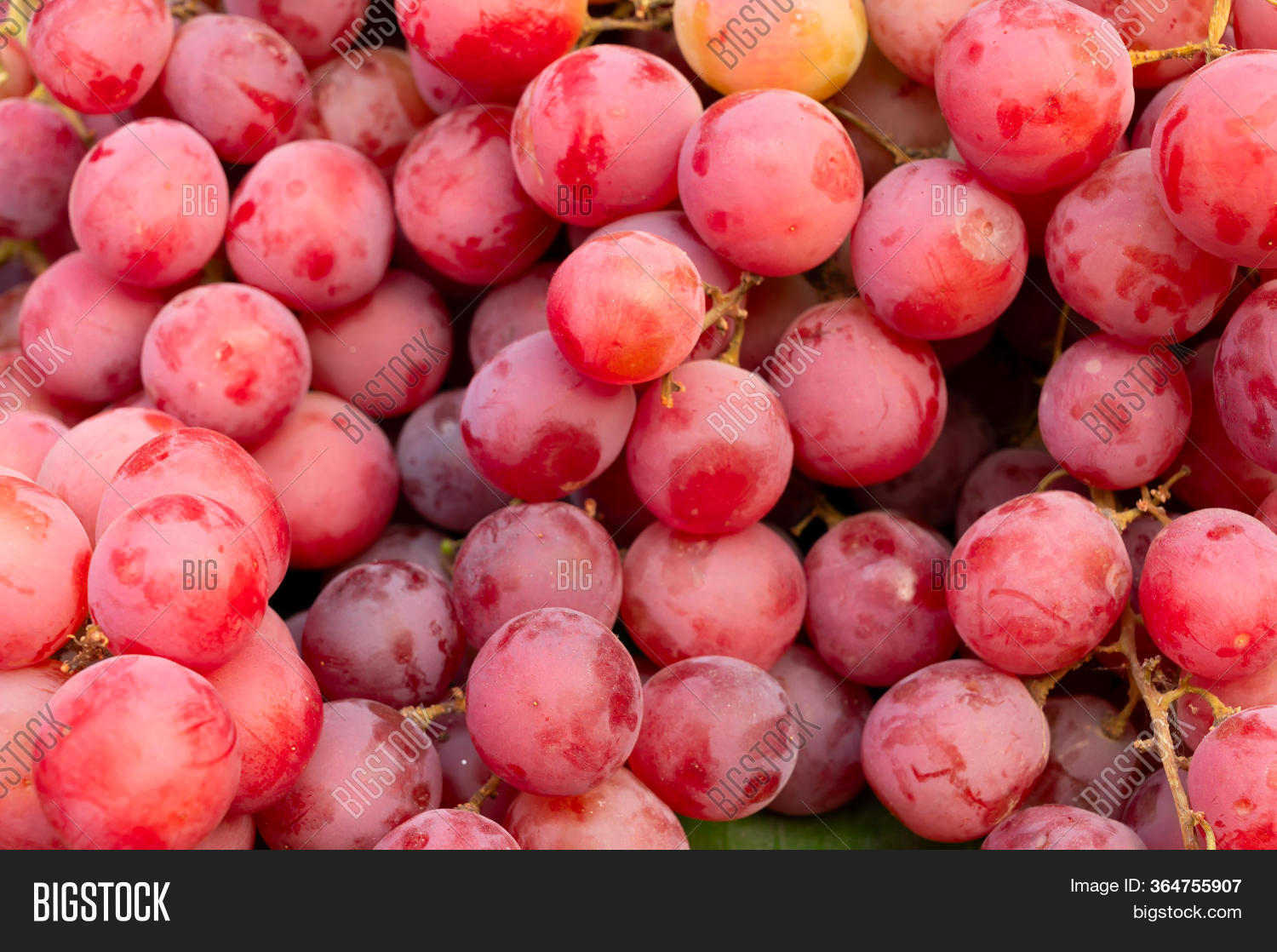 Aalu Bhukhara Fruits Image & Photo (Free Trial) | Bigstock