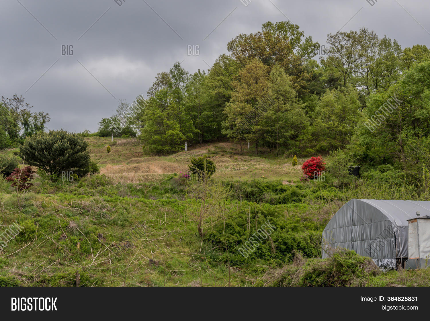 Family Burial Plot Image & Photo (Free Trial) | Bigstock