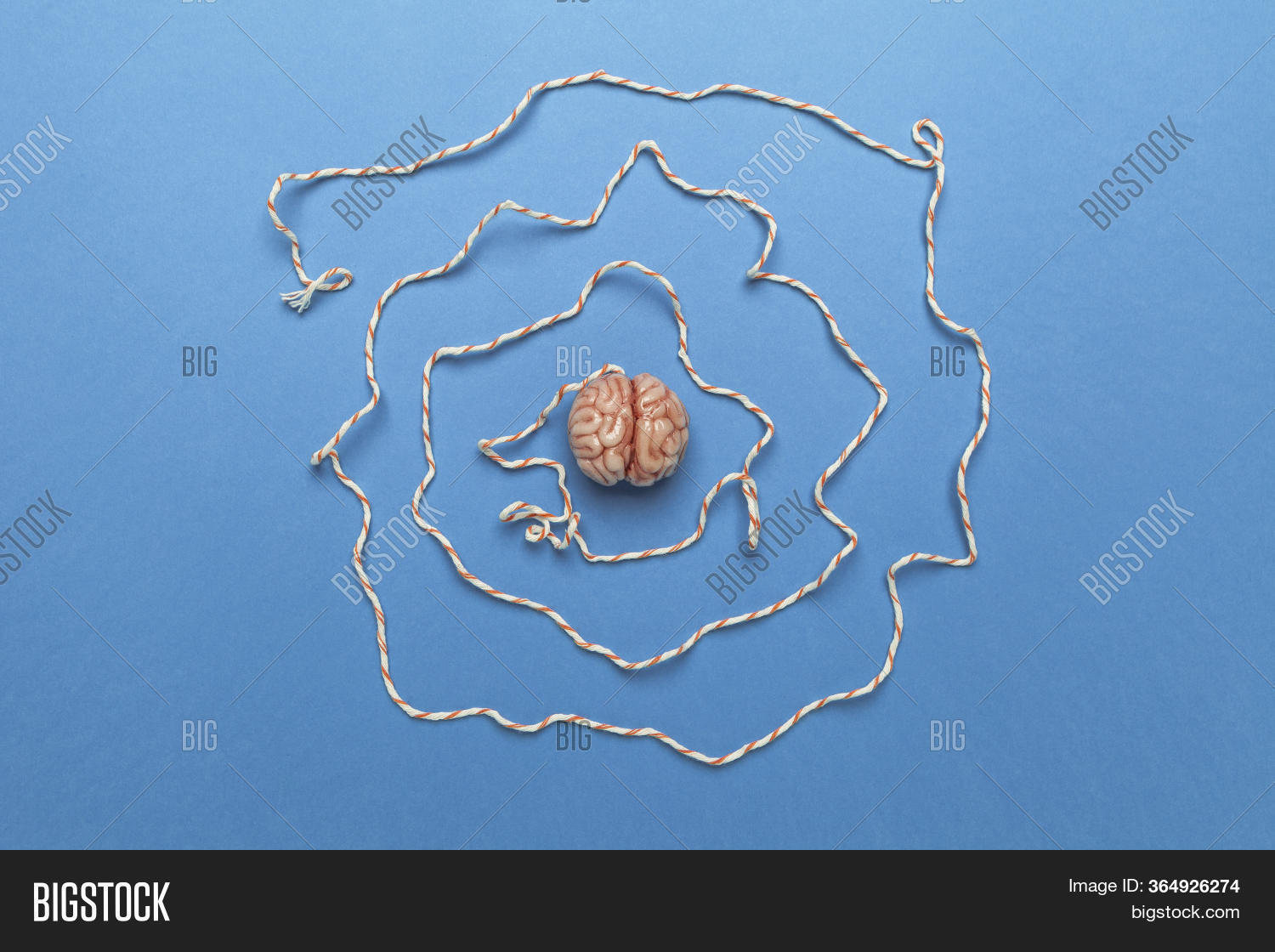 Human Brain Confusion Image & Photo (Free Trial) | Bigstock