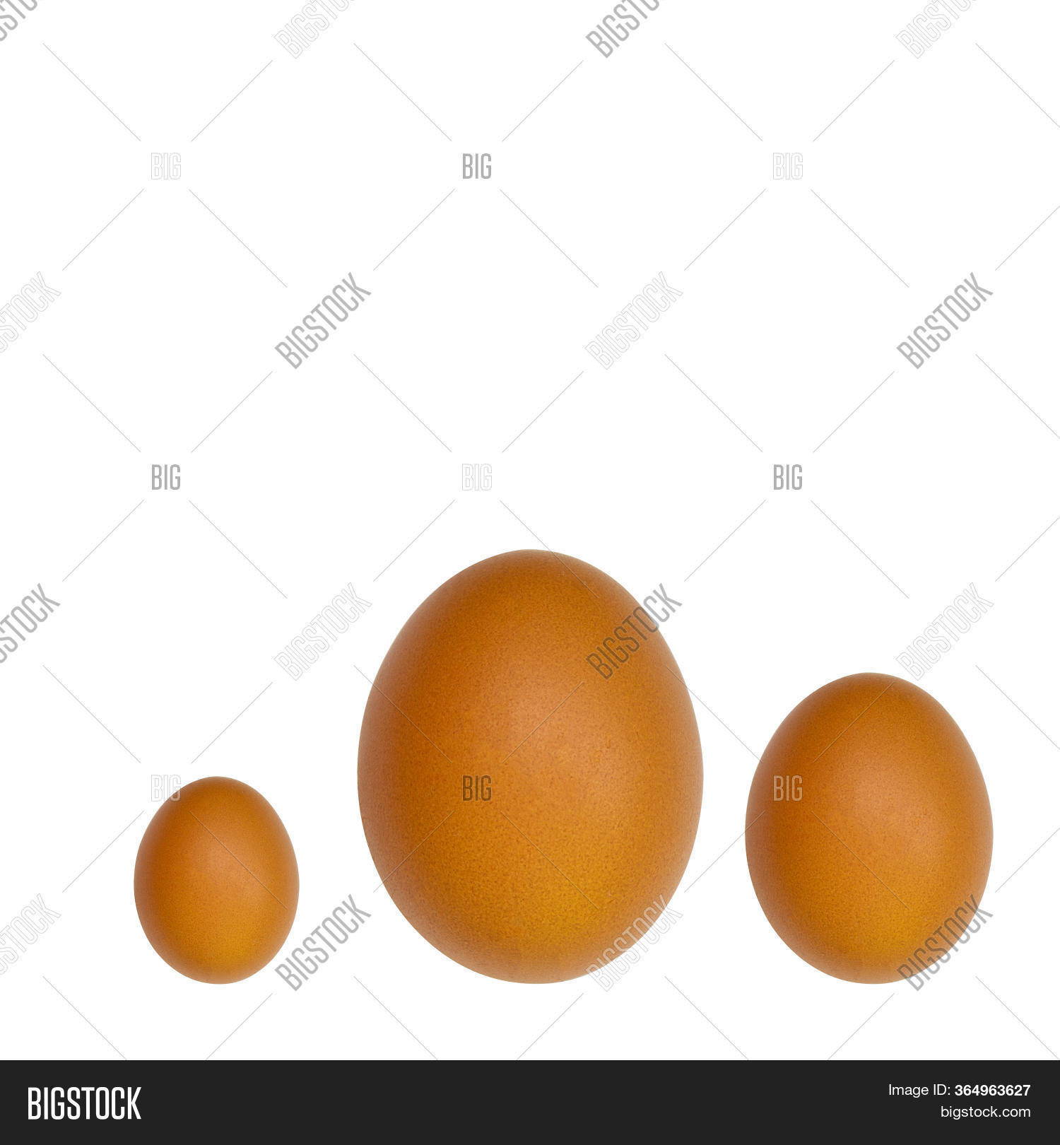 Three Eggs Same Color Image & Photo (Free Trial) | Bigstock