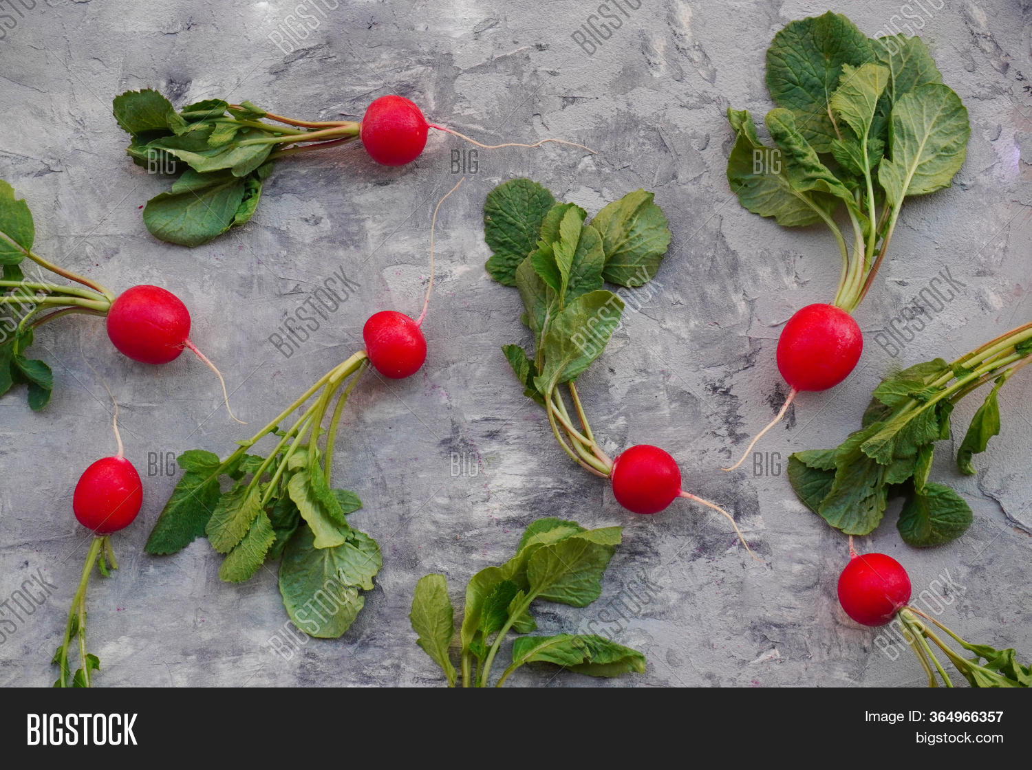 Bright Pink Radishes Image & Photo (Free Trial) | Bigstock