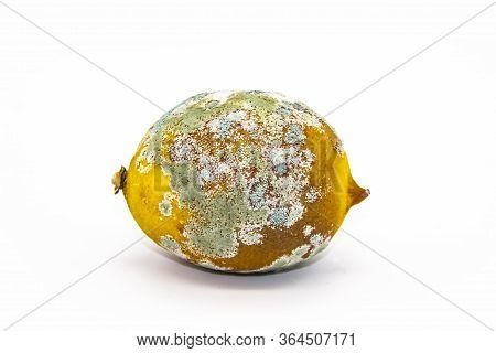 Spoiled Lemon On White Image & Photo (Free Trial) | Bigstock