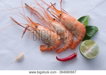 Red Shrimp, Seafood Image & Photo (Free Trial) | Bigstock