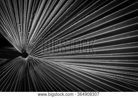 Leading Lines Pattern Image & Photo (Free Trial) | Bigstock