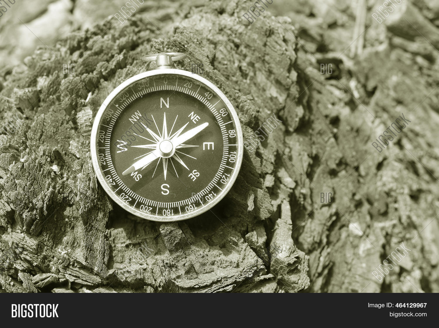 Round Compass On Image & Photo (Free Trial) | Bigstock