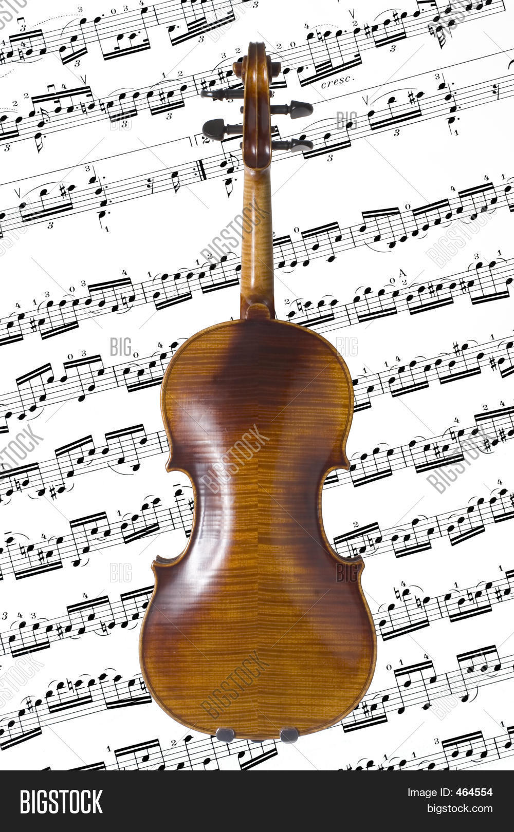 Violin Back Image & Photo (Free Trial) | Bigstock