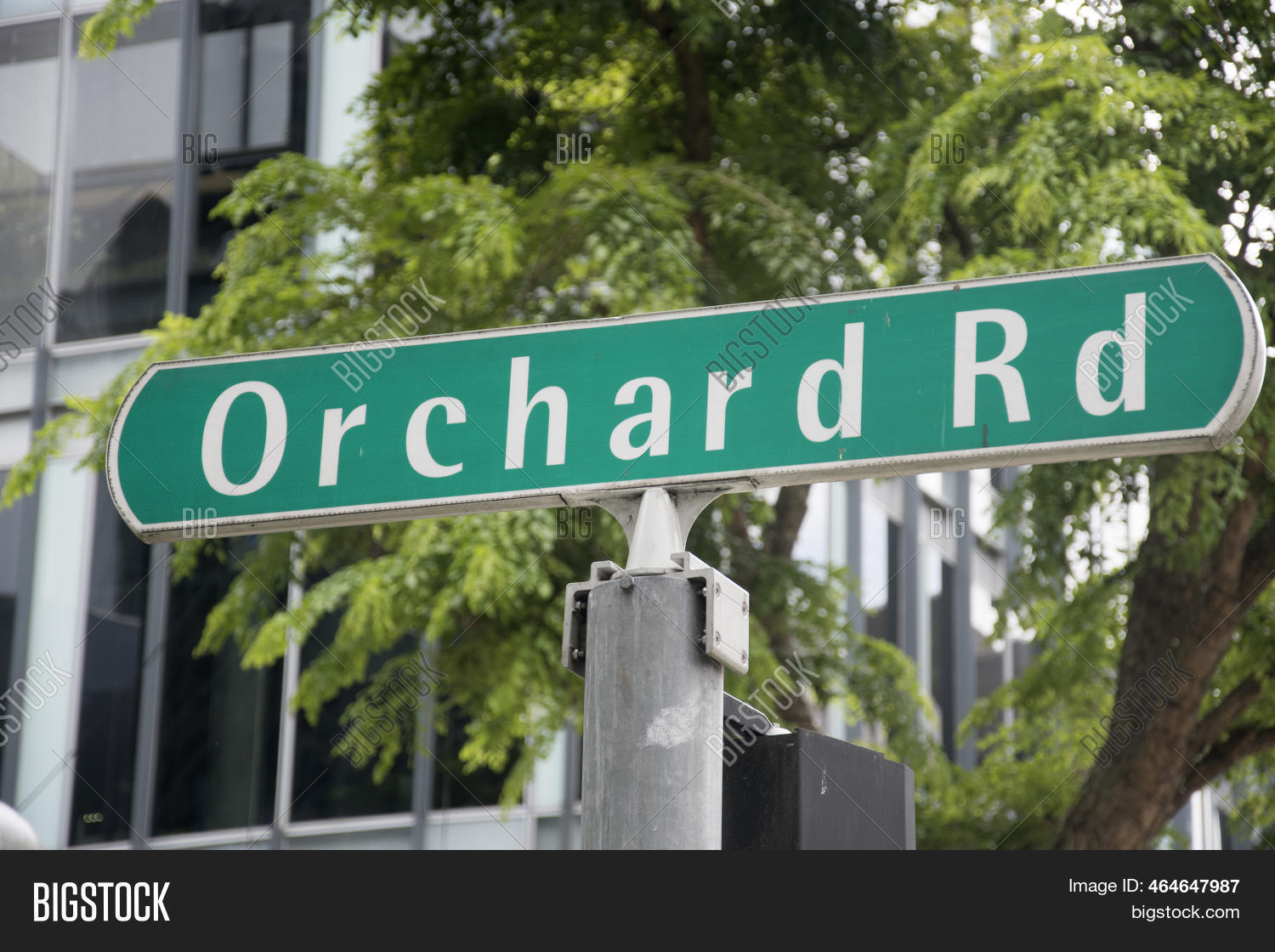 Close Shot Orchard Image & Photo (Free Trial) | Bigstock