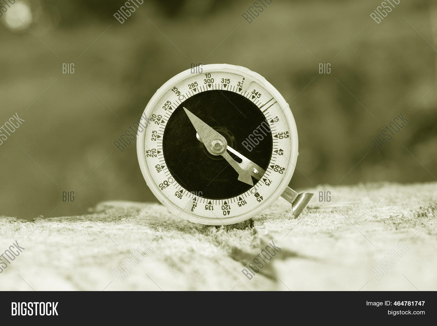 Round Compass On Image & Photo (Free Trial) | Bigstock