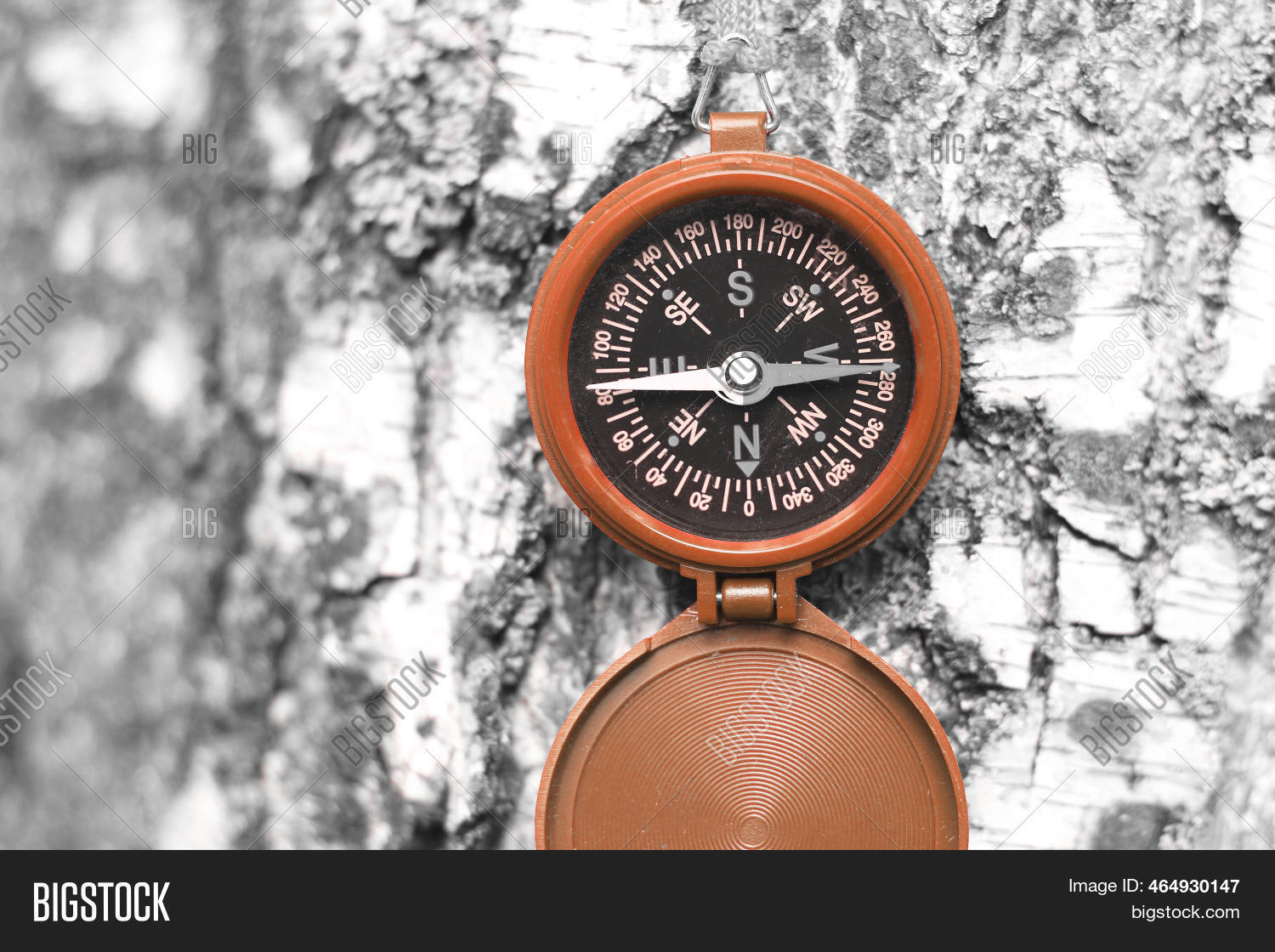 Round Compass On Image & Photo (Free Trial) | Bigstock