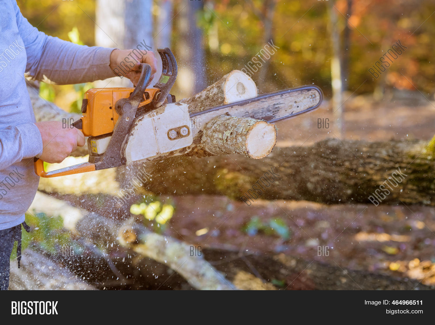 Using Chainsaw Man Image & Photo (Free Trial) | Bigstock