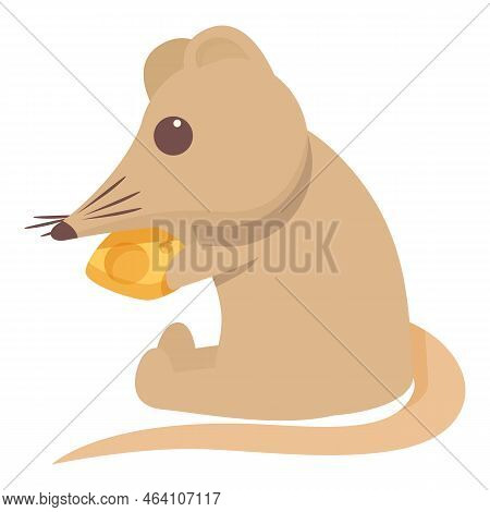 Shrew Eat 矢量图和照片（免费试用） | Bigstock