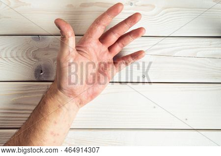 Top View Image & Photo (Free Trial) | Bigstock