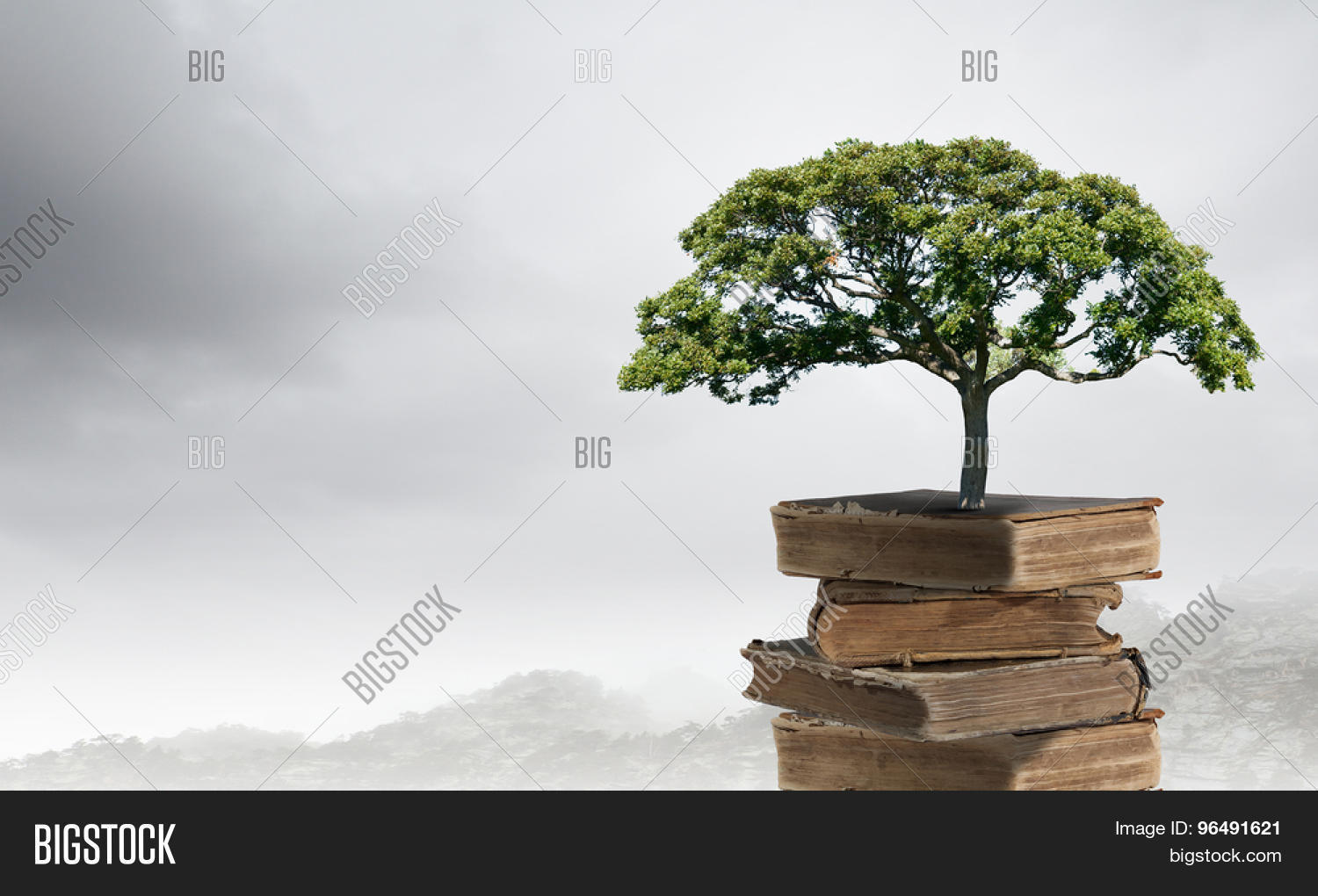 Conceptual Image Green Image & Photo (Free Trial) | Bigstock