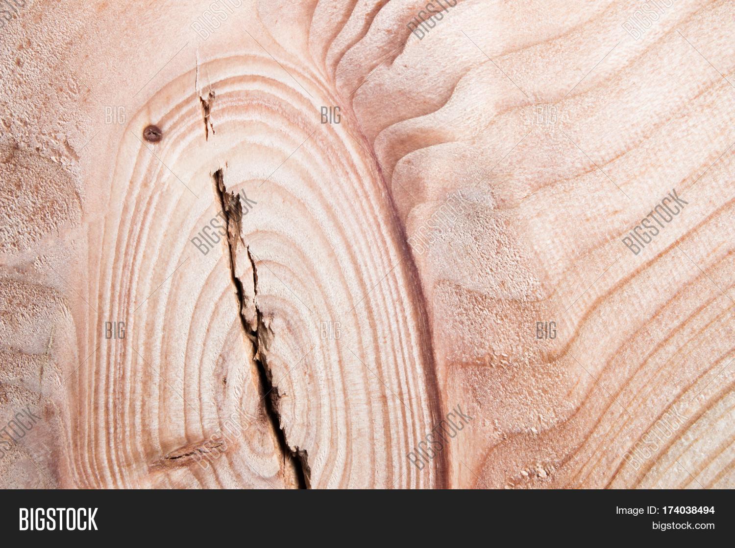 Brown Wood Texture Image & Photo (Free Trial) | Bigstock