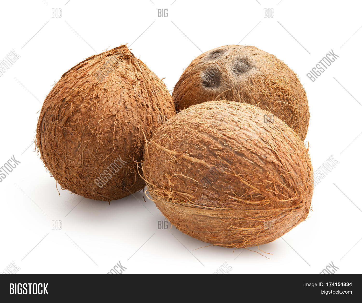 Coconuts Isolated On Image & Photo (Free Trial) | Bigstock