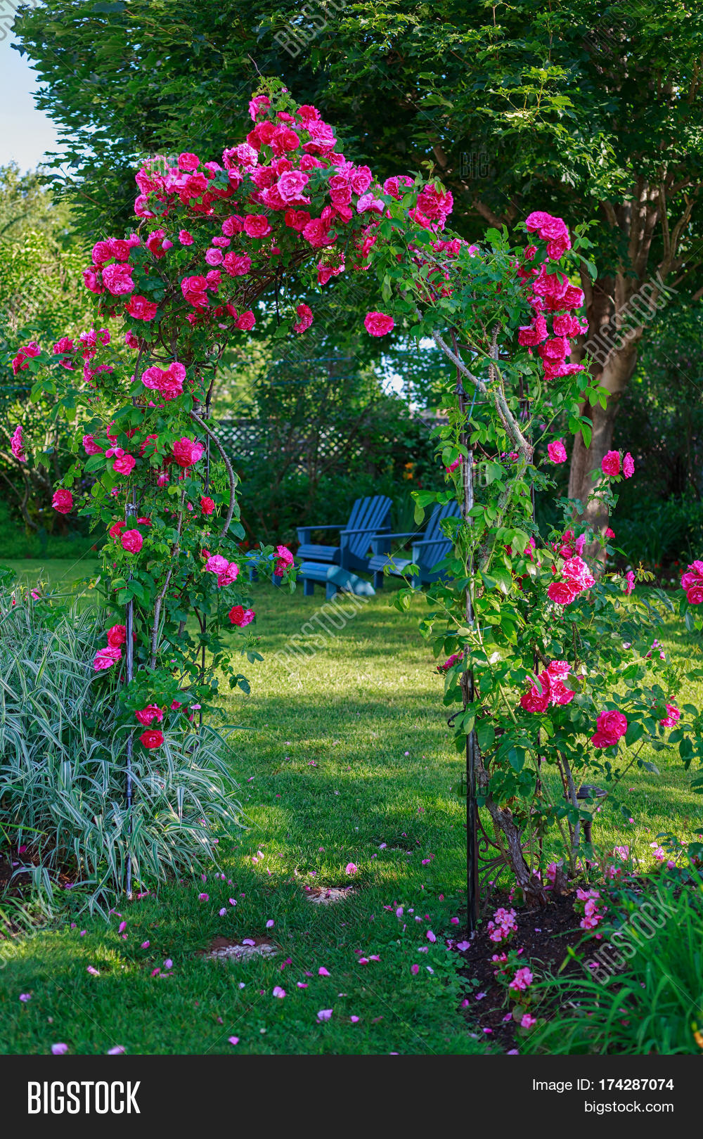 Rose Arbor Backyard Image & Photo (Free Trial) | Bigstock