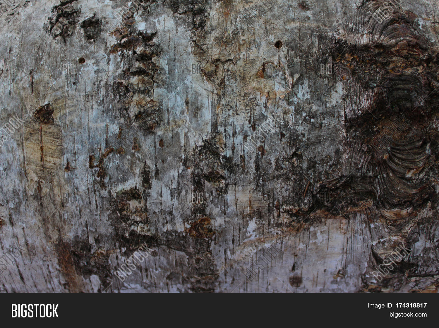 Old Rough Wood Texture Image & Photo (Free Trial) | Bigstock