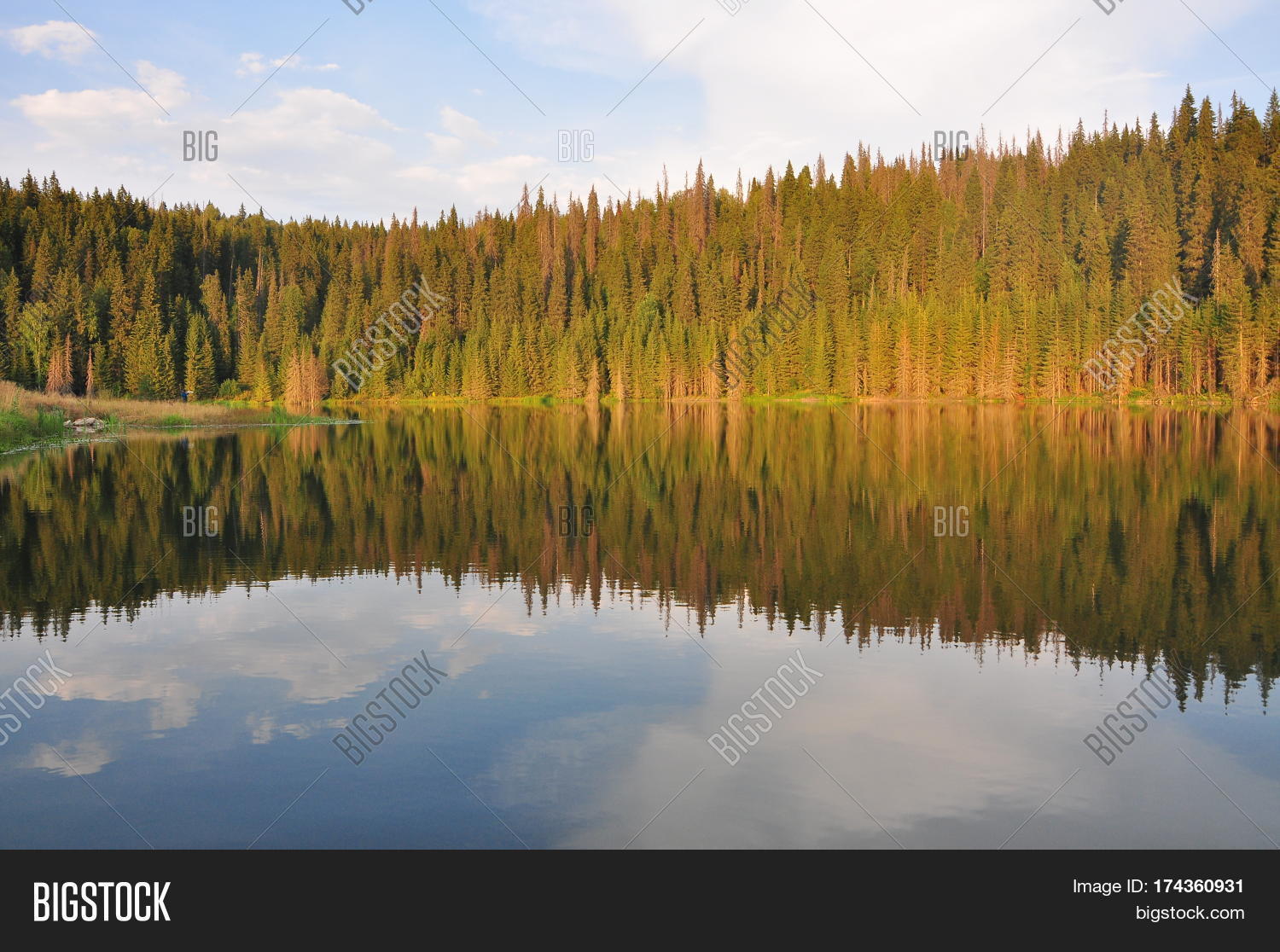 Autumn Forest Mountain Image & Photo (Free Trial) | Bigstock