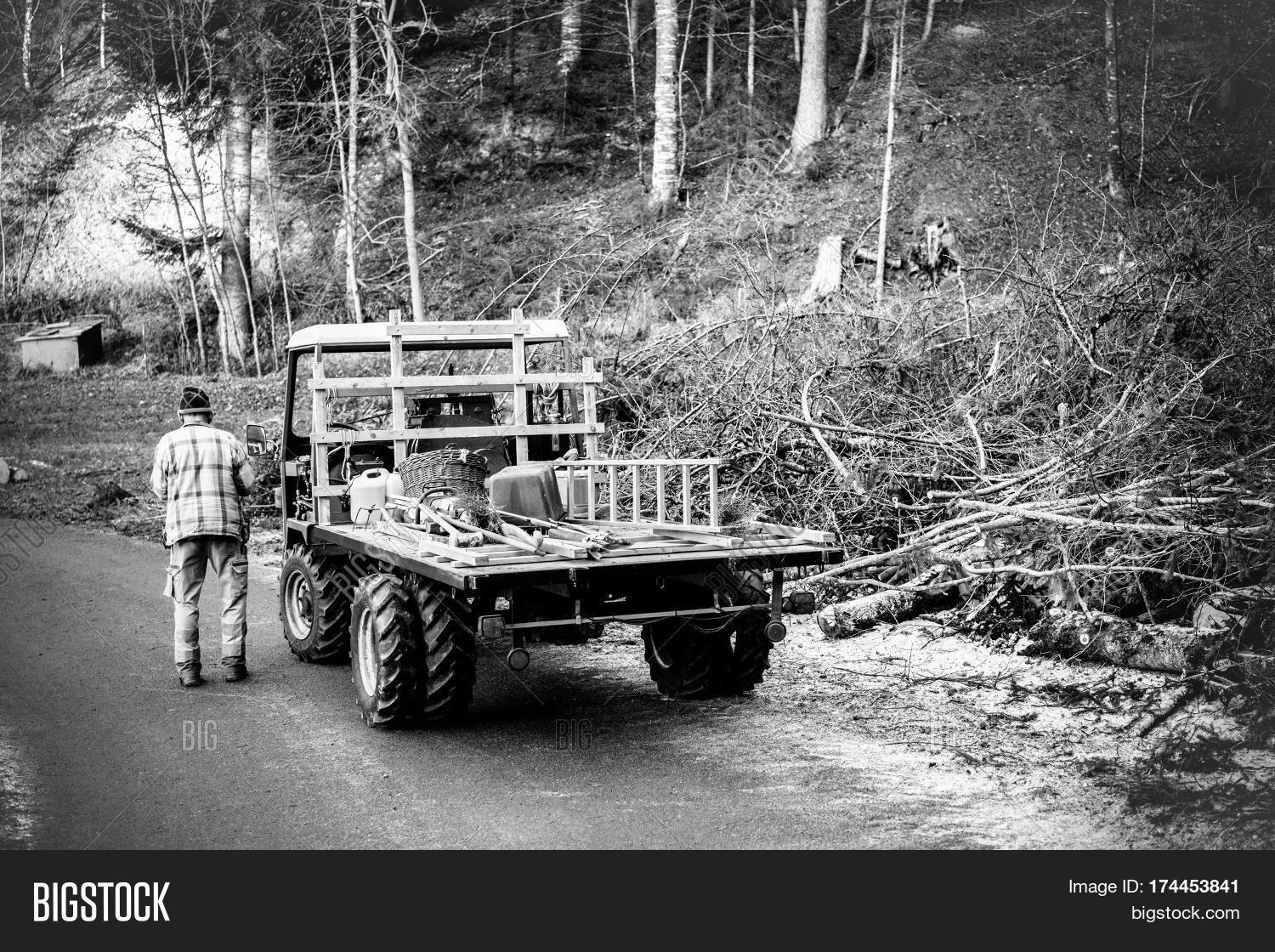 Old Man Carpenter Image & Photo (Free Trial) | Bigstock