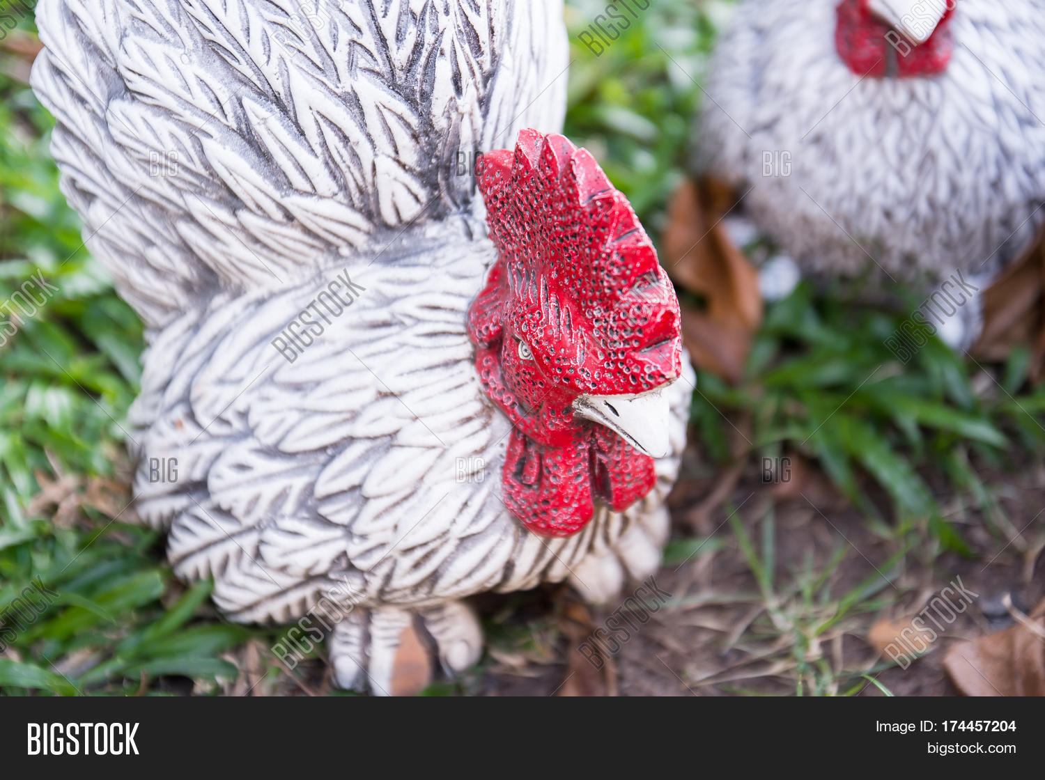 Stucco Chicken Image & Photo (Free Trial) | Bigstock