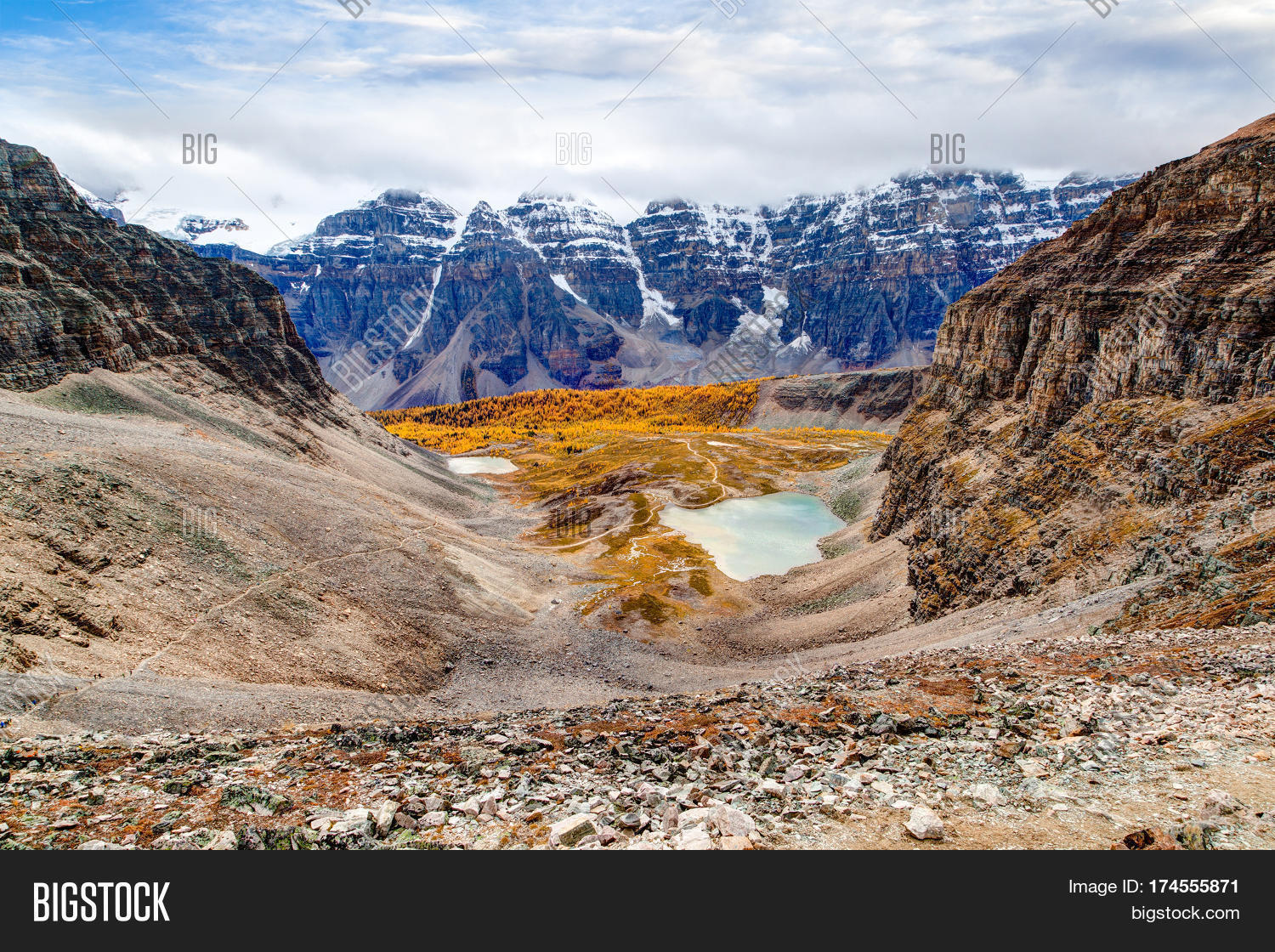 Larch Valley Canadian Image & Photo (Free Trial) | Bigstock