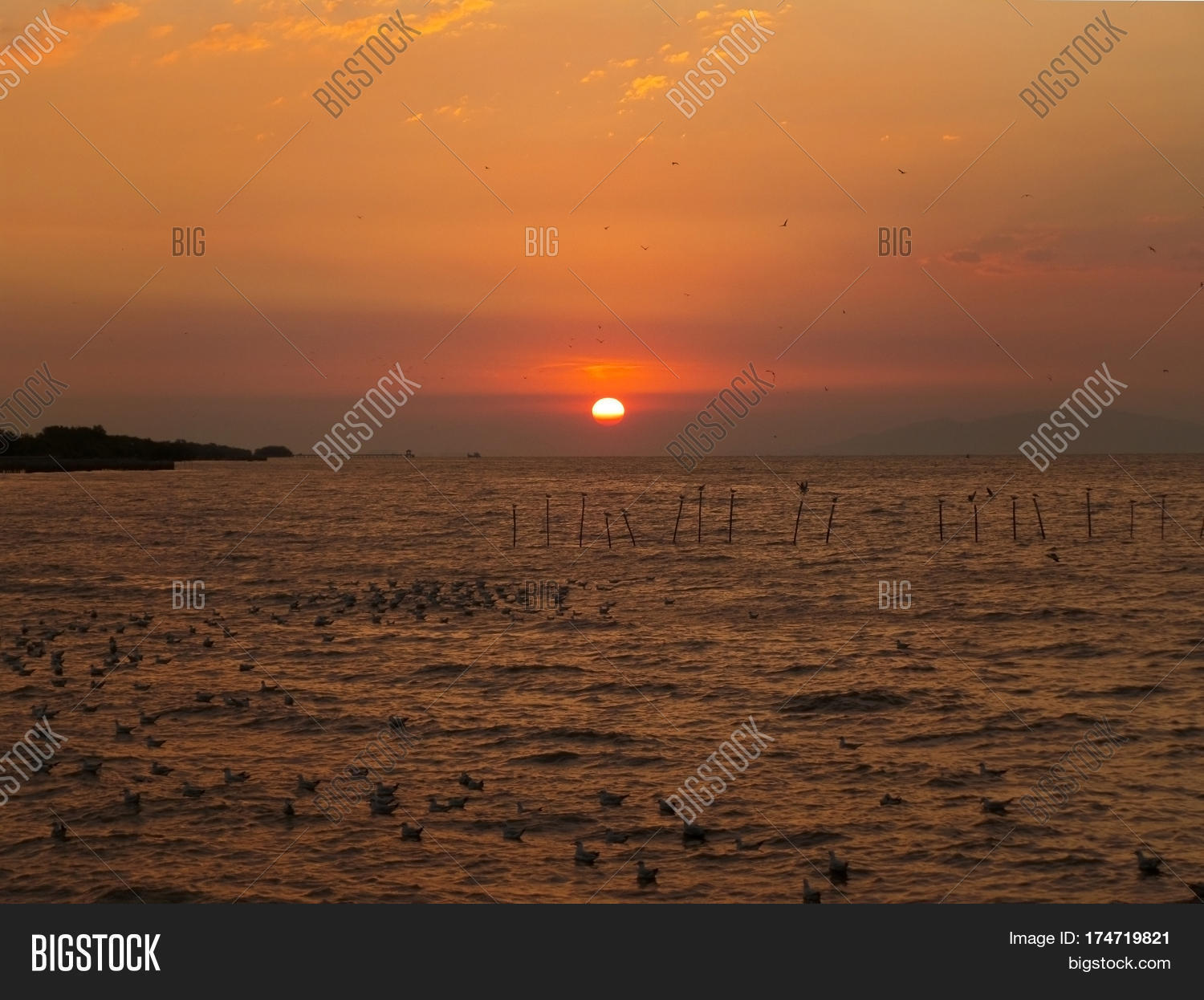 Stunning Sun Rising Image & Photo (Free Trial) | Bigstock