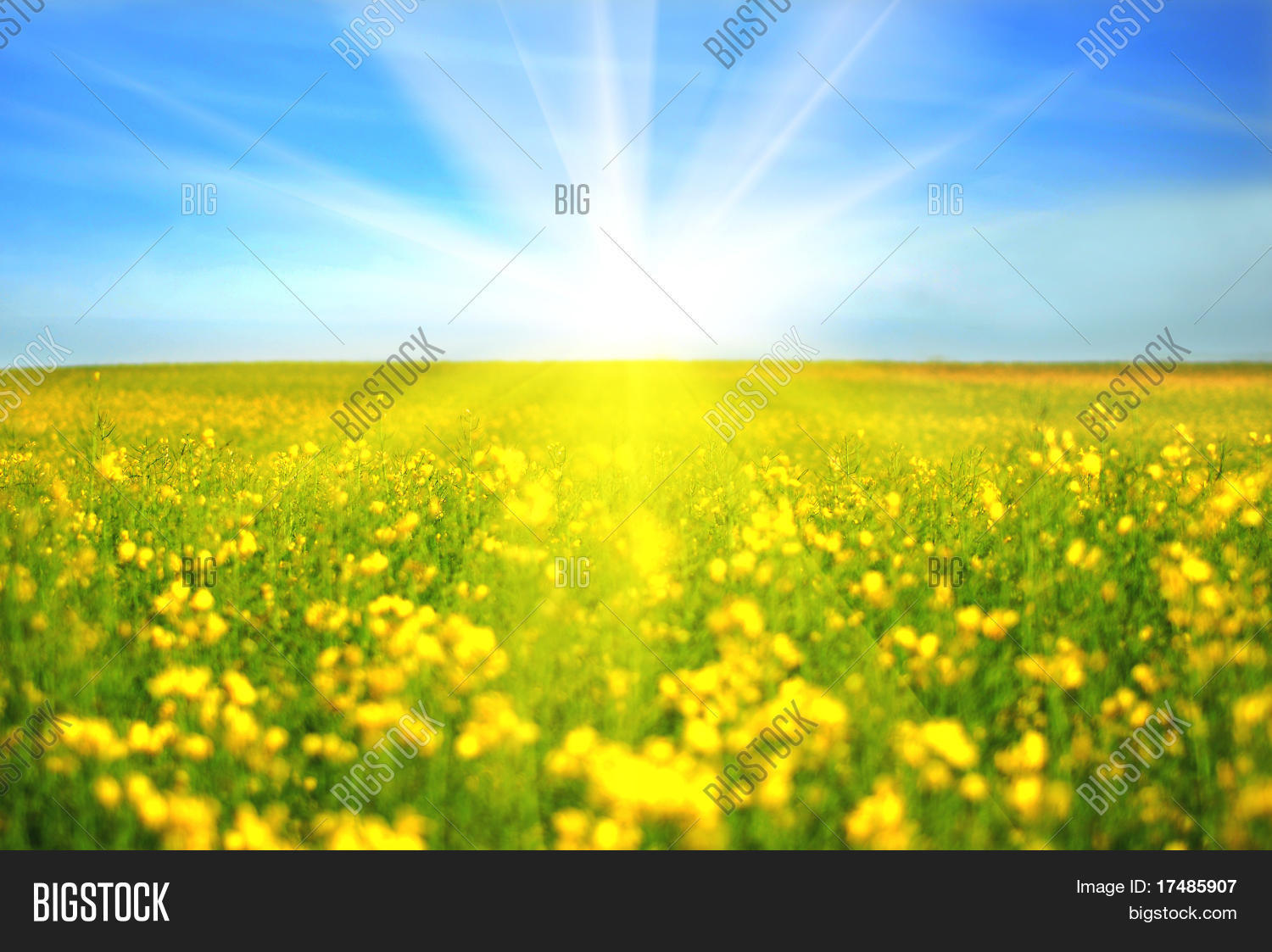 Sunny Day Image & Photo (Free Trial) | Bigstock