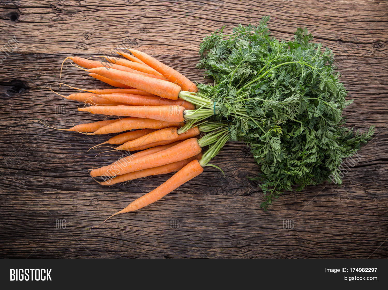 Carrot. Fresh Carrots Image & Photo (Free Trial) | Bigstock