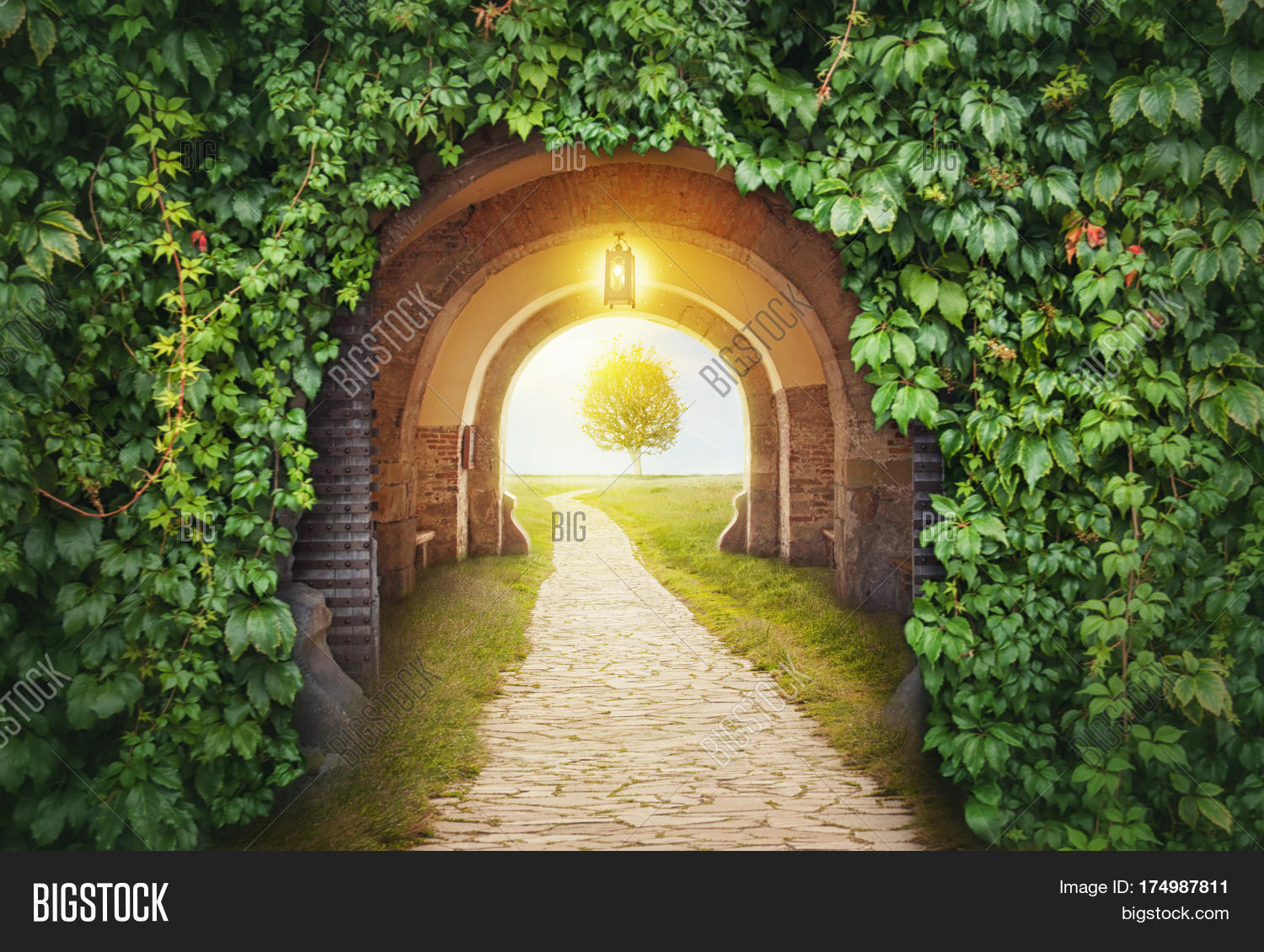 Mysterious Gate Image & Photo (Free Trial) | Bigstock