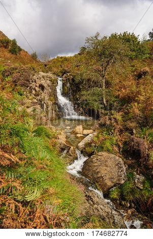 Small Mountain Stream Image & Photo (Free Trial) | Bigstock