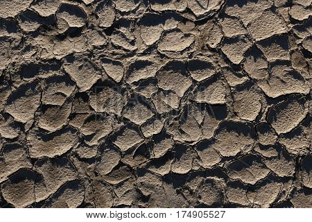 Mud-cracked Clayey Image & Photo (Free Trial) | Bigstock