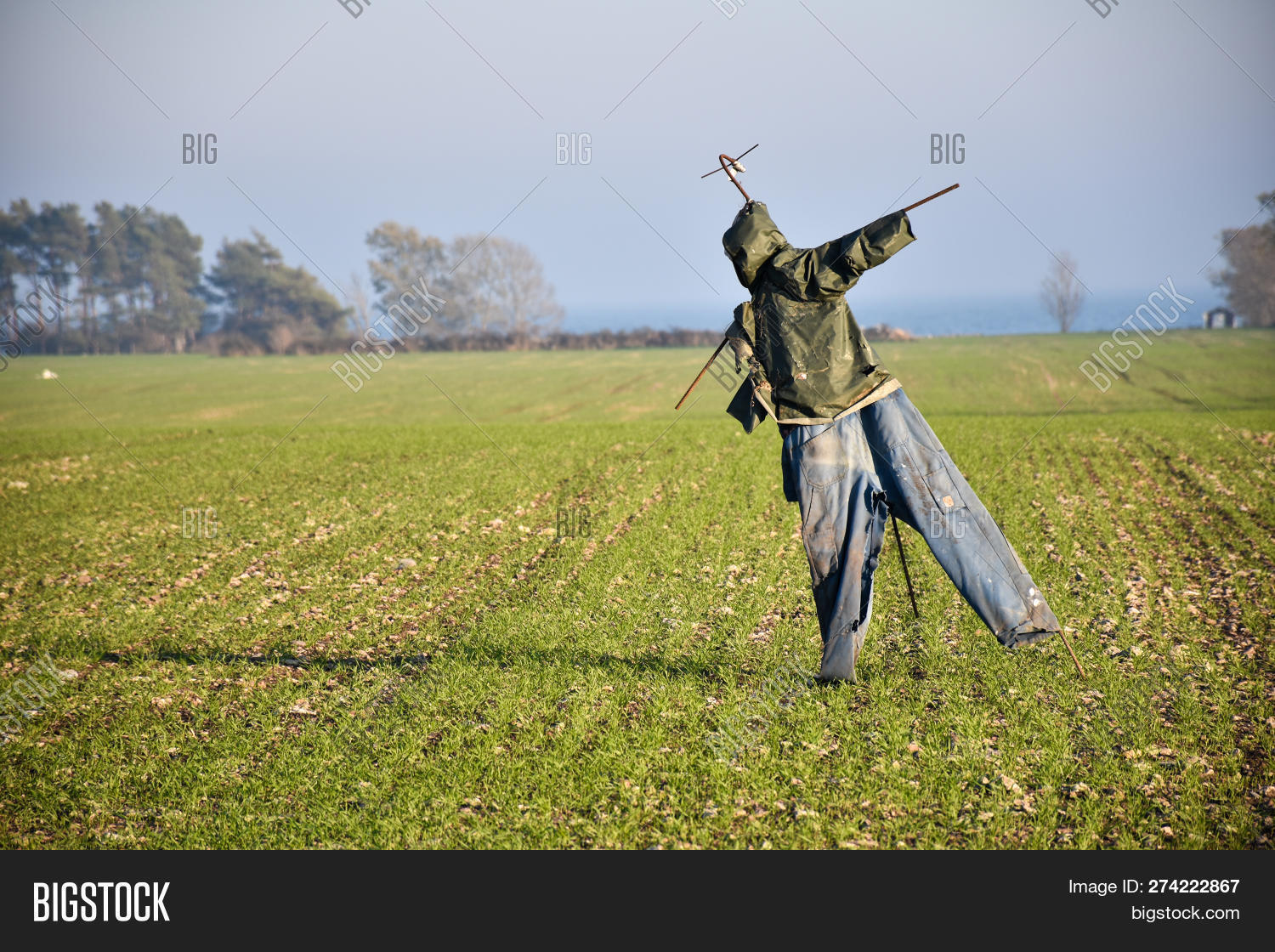 Scarecrow Standing Image & Photo (Free Trial) | Bigstock