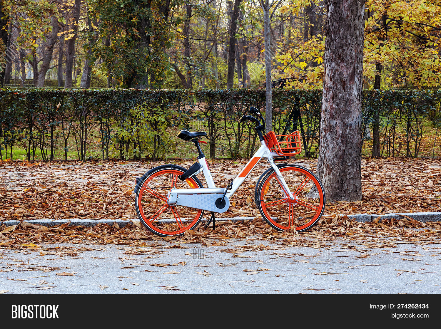 Electric Bicycle Move Image & Photo (Free Trial) | Bigstock