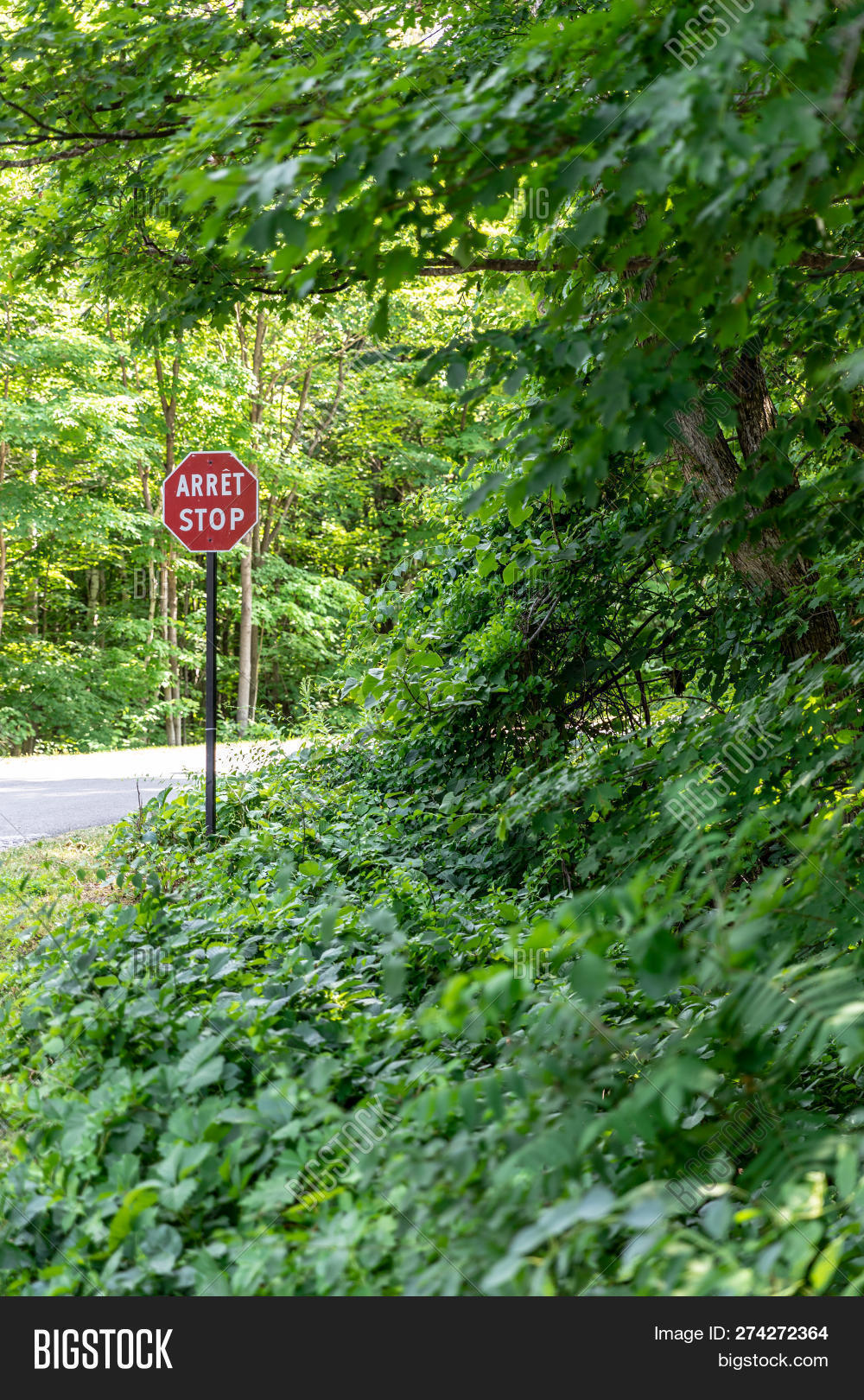 Vertical Stop Sign Image & Photo (Free Trial) | Bigstock