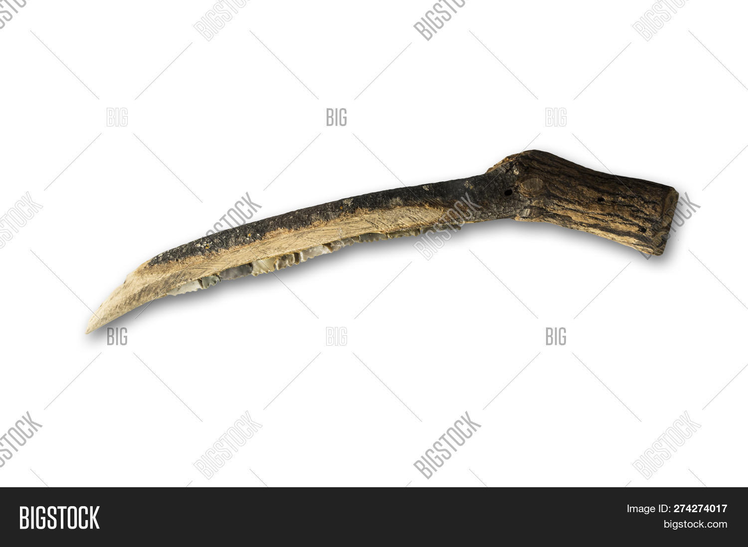 Neolithic Sickle Made Image & Photo (Free Trial) | Bigstock