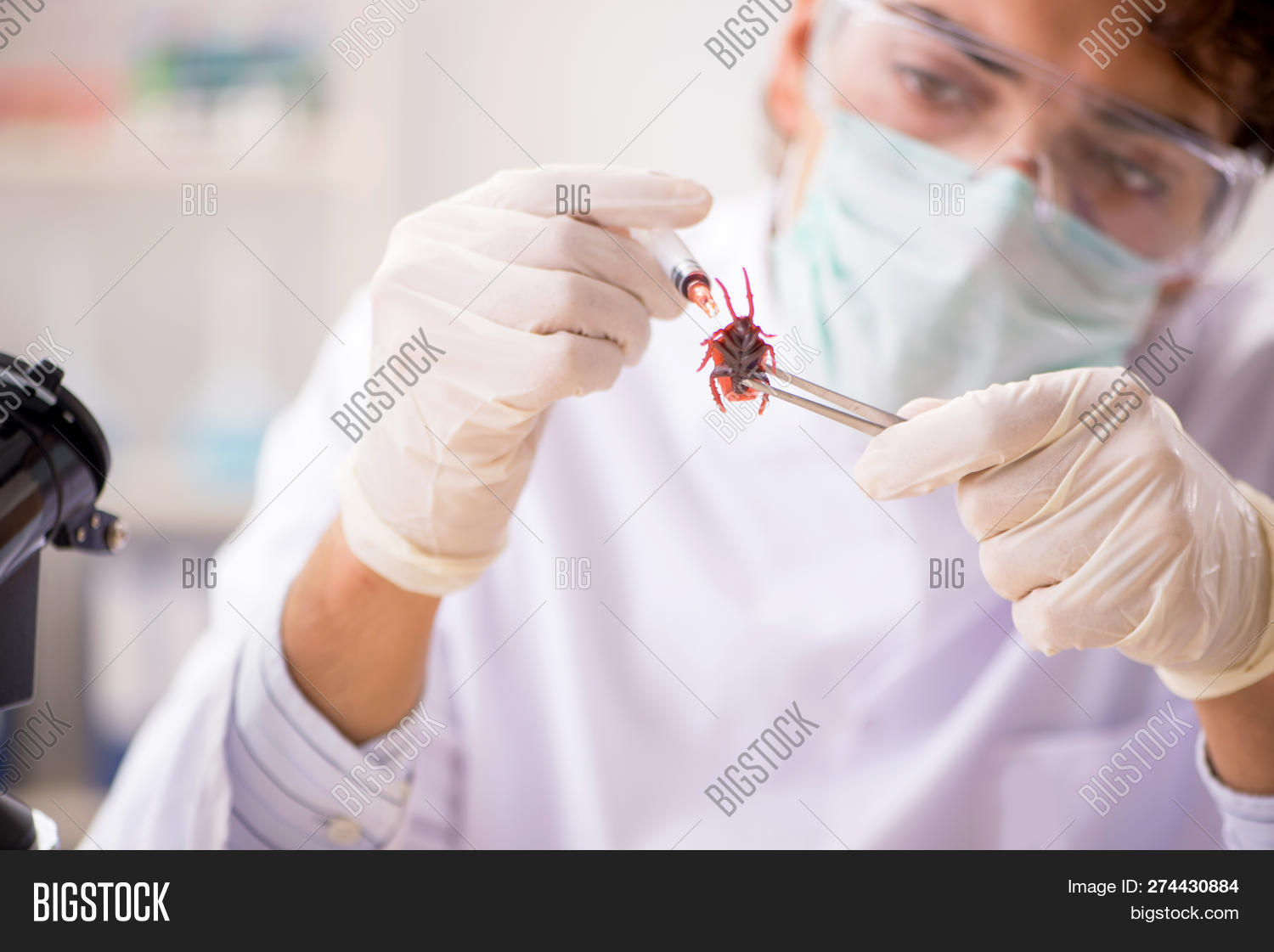Male Entomologist Image & Photo (Free Trial) | Bigstock