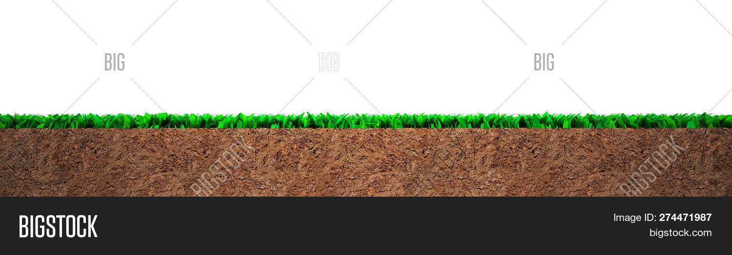Cross Section Green Image & Photo (Free Trial) | Bigstock