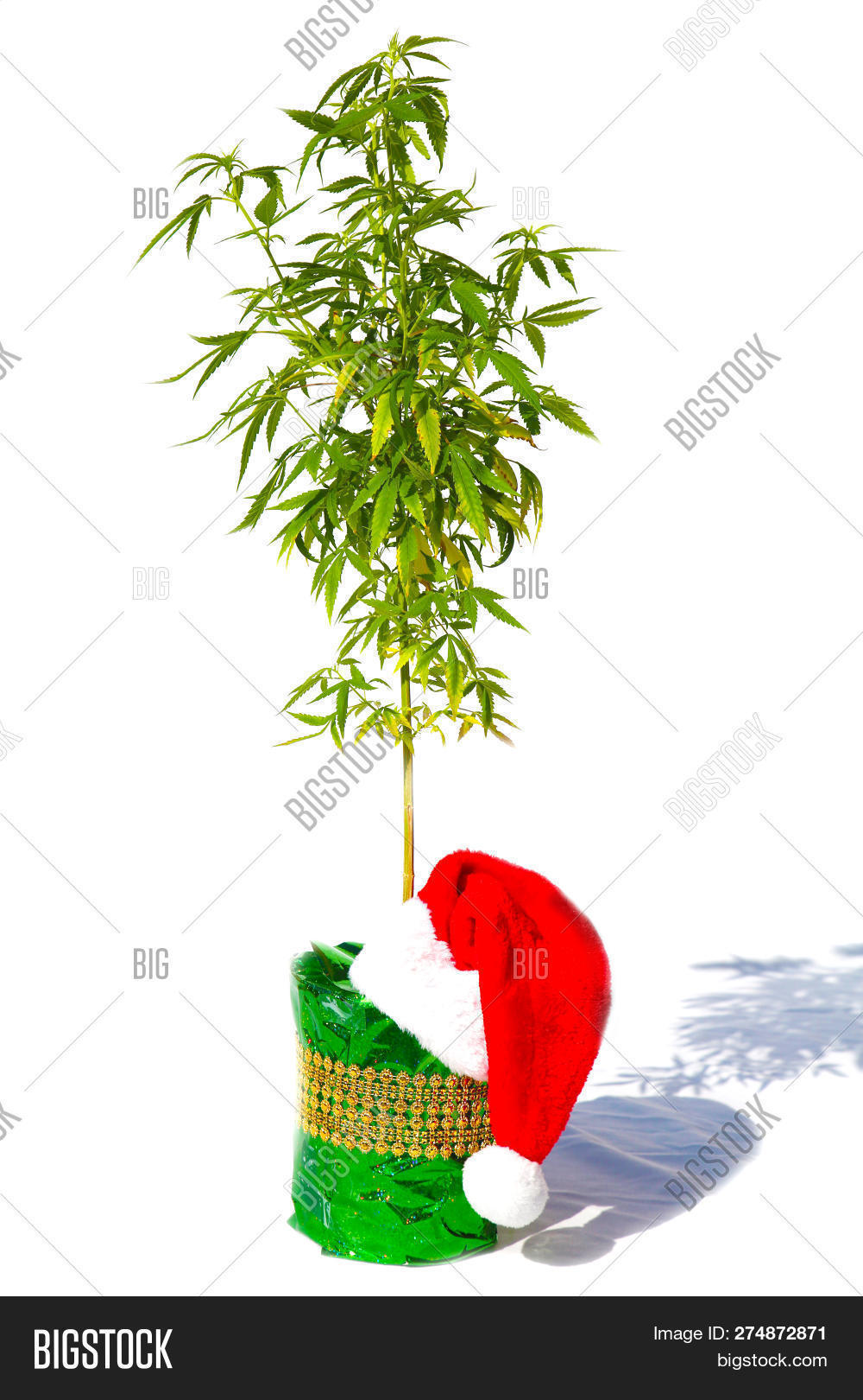 Marijuana Christmas Image & Photo (Free Trial) | Bigstock